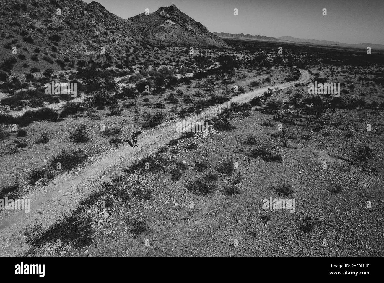 Landscape desierto mexico Black and White Stock Photos & Images - Alamy