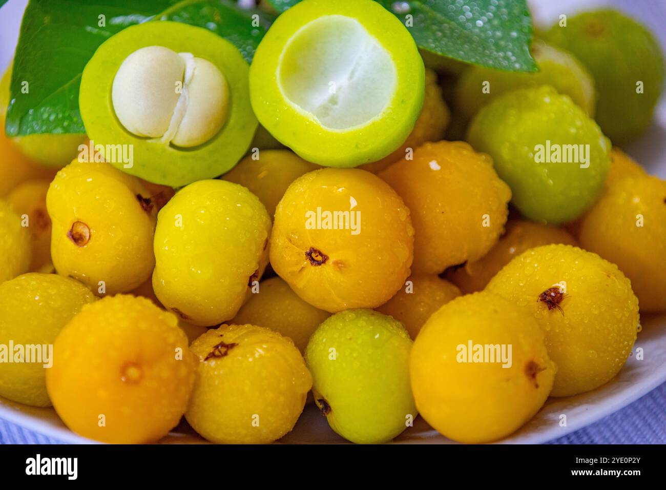 Ripe edible wild fruit from the Brazilian cerrado biome, fruit known as ...