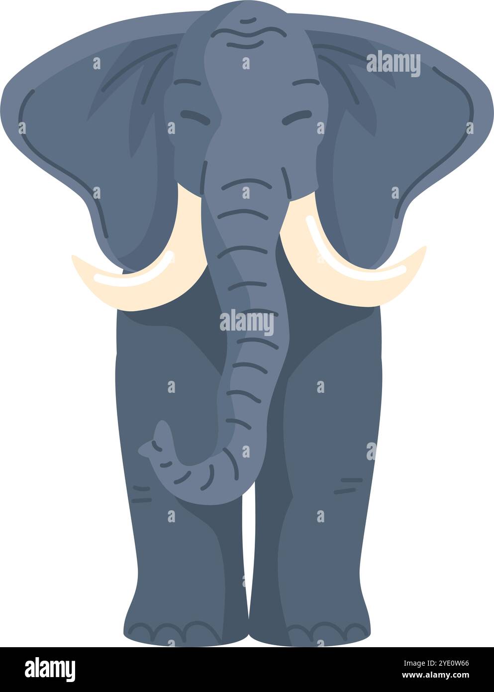 Elephant front view isolated Stock Vector Images - Alamy