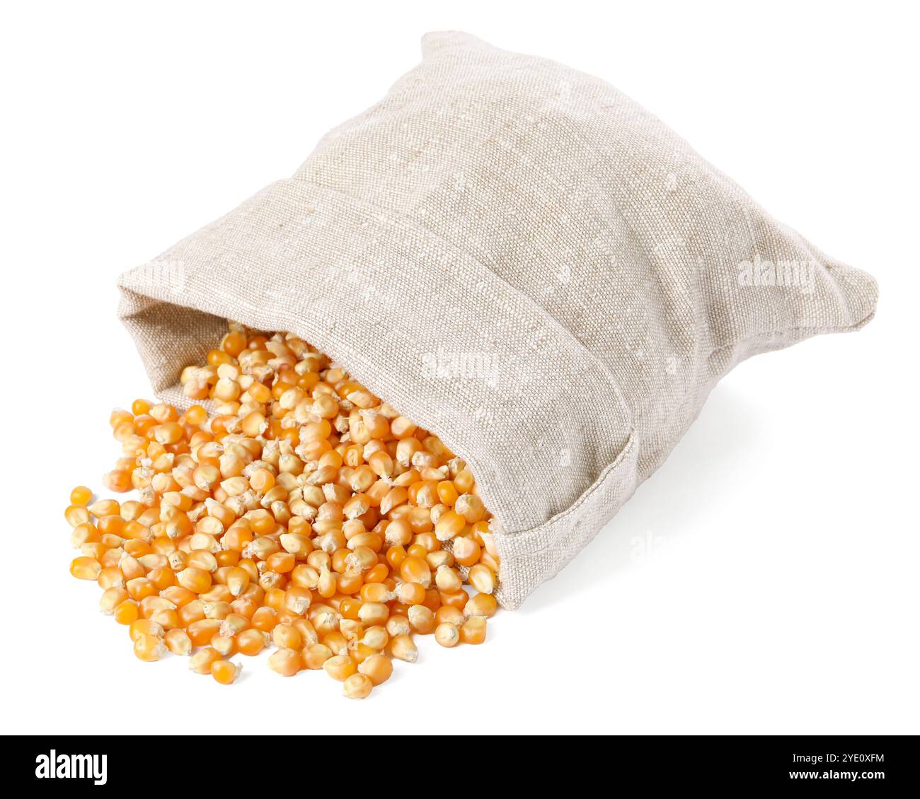 Fresh corn kernels and overturned burlap sack isolated on white Stock ...