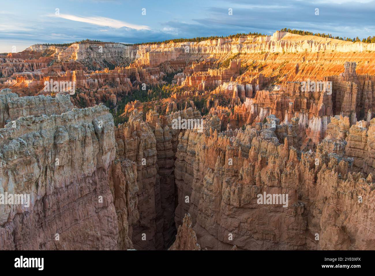 Sunrise in the main amphitheater of the Bryce Canyon seen from Sunset ...