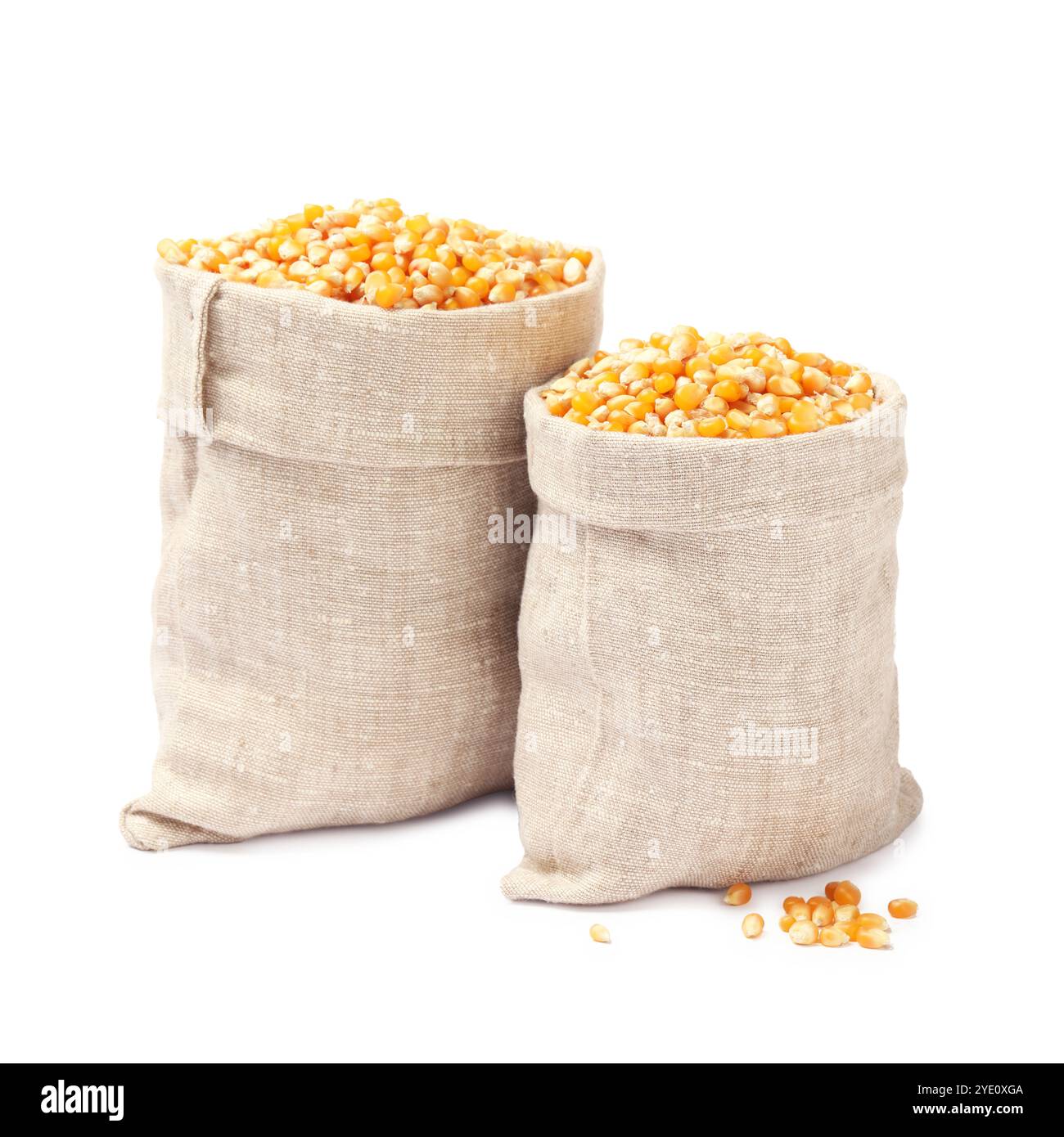 Fresh corn kernels in burlap sacks isolated on white Stock Photo - Alamy