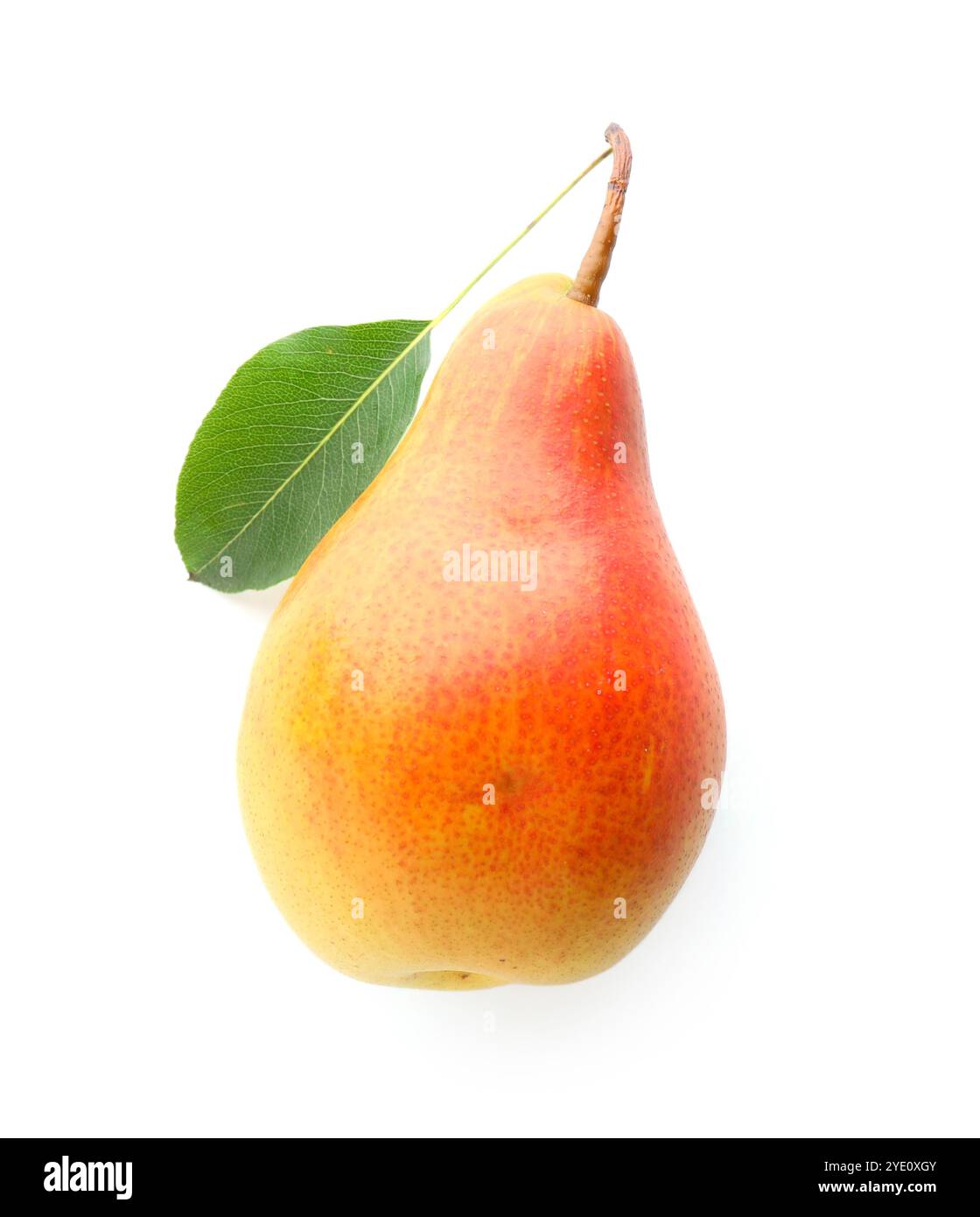 One whole ripe pear isolated on white, top view Stock Photo - Alamy