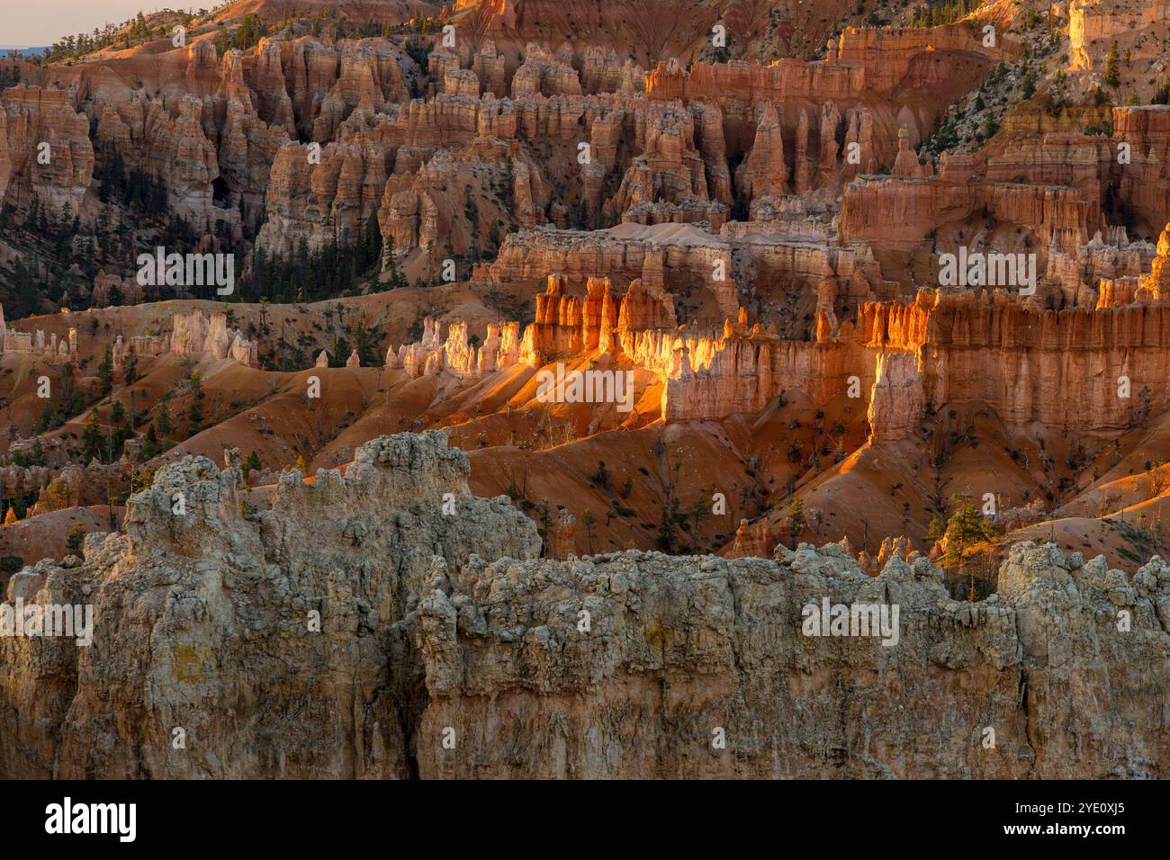 Hoodoos in the main amphitheater of the Bryce Canyon at the sunrise ...
