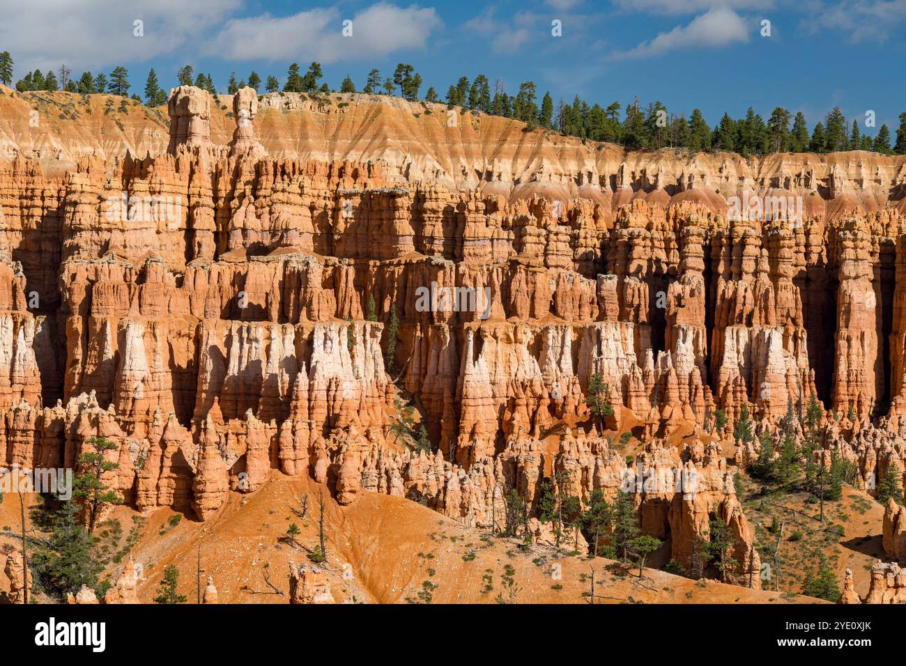 Hoodoos in the amphitheater of the Bryce Canyon seen from the Peekaboo Loop Stock Photo - Alamy