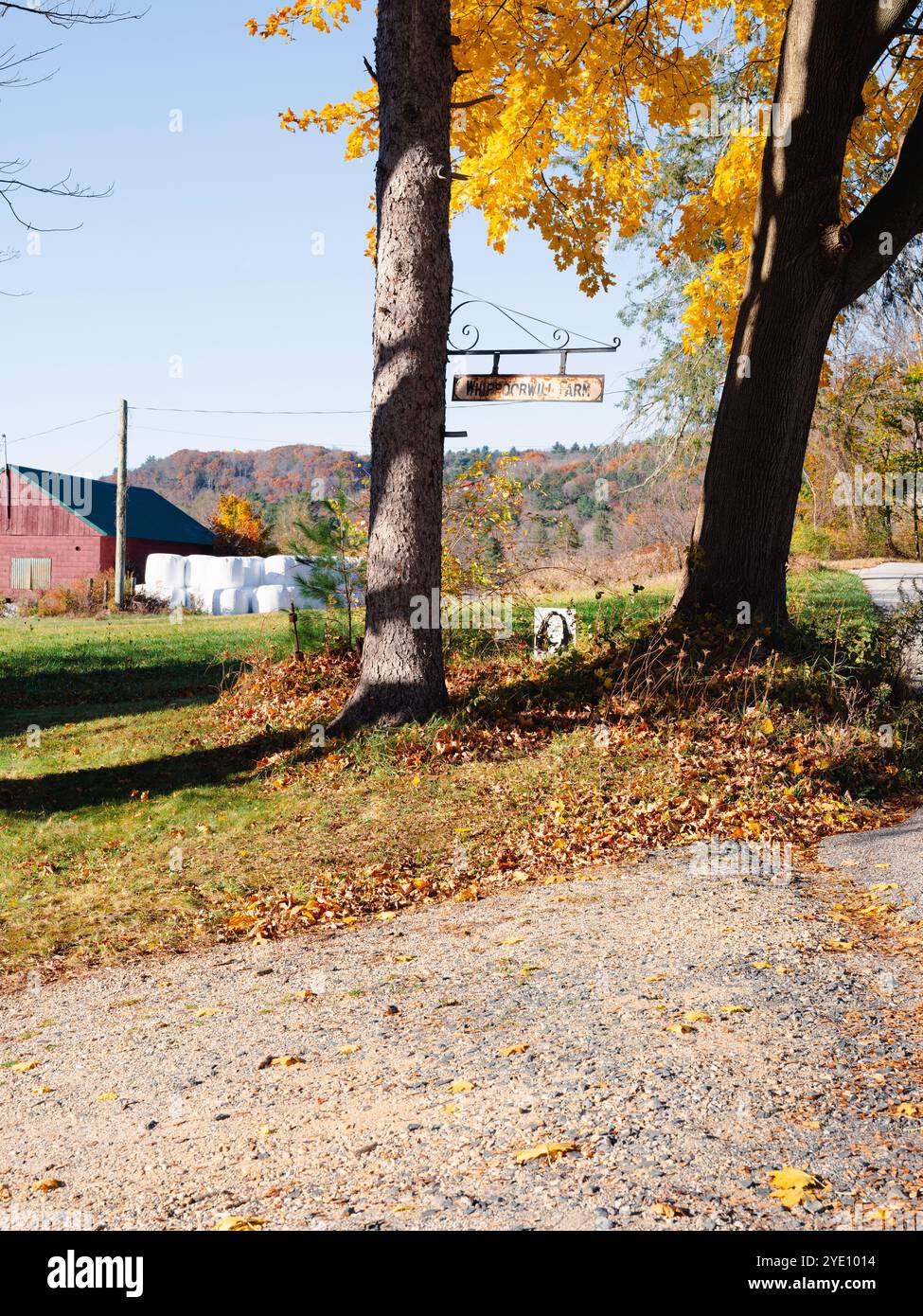 Signs for early voting hours for the US 2024 general elections in rural ...