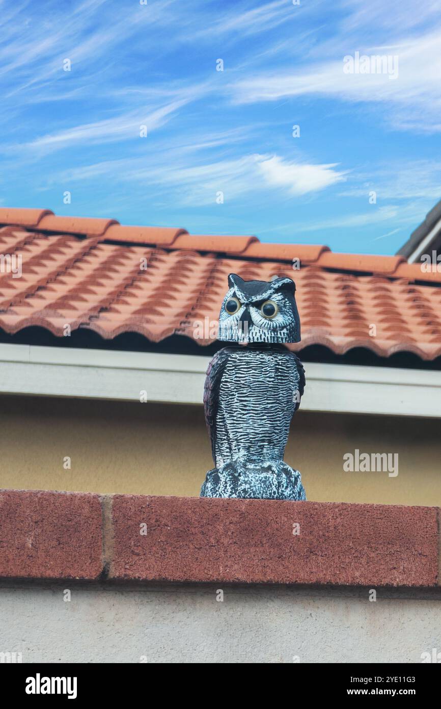 Decoy owl hi-res stock photography and images - Alamy