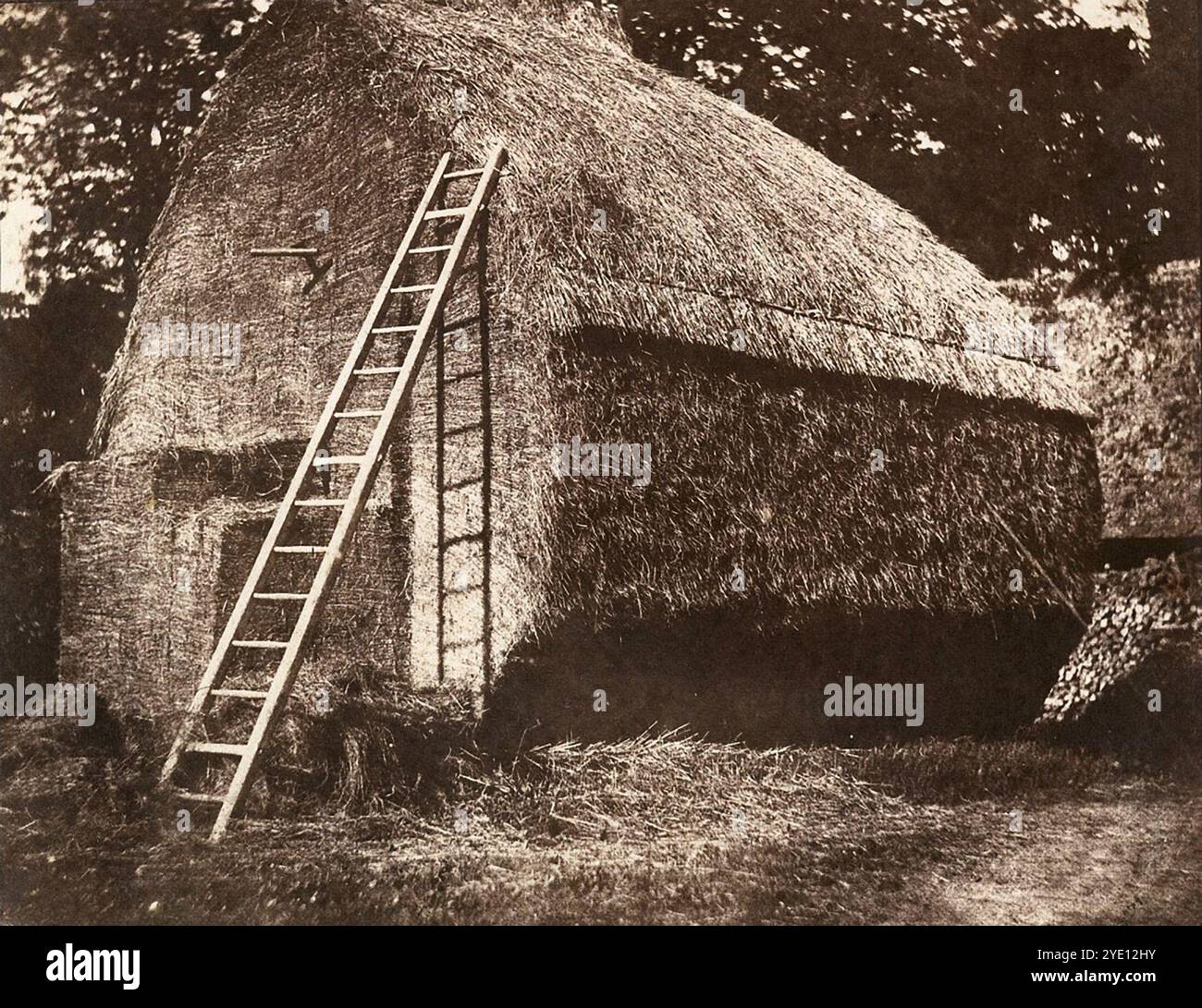 24 photos hi-res stock photography and images - Alamy