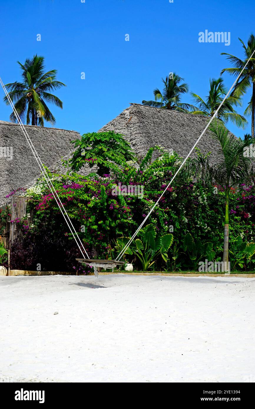 traditional building at the coast of zanzibar island Stock Photo - Alamy