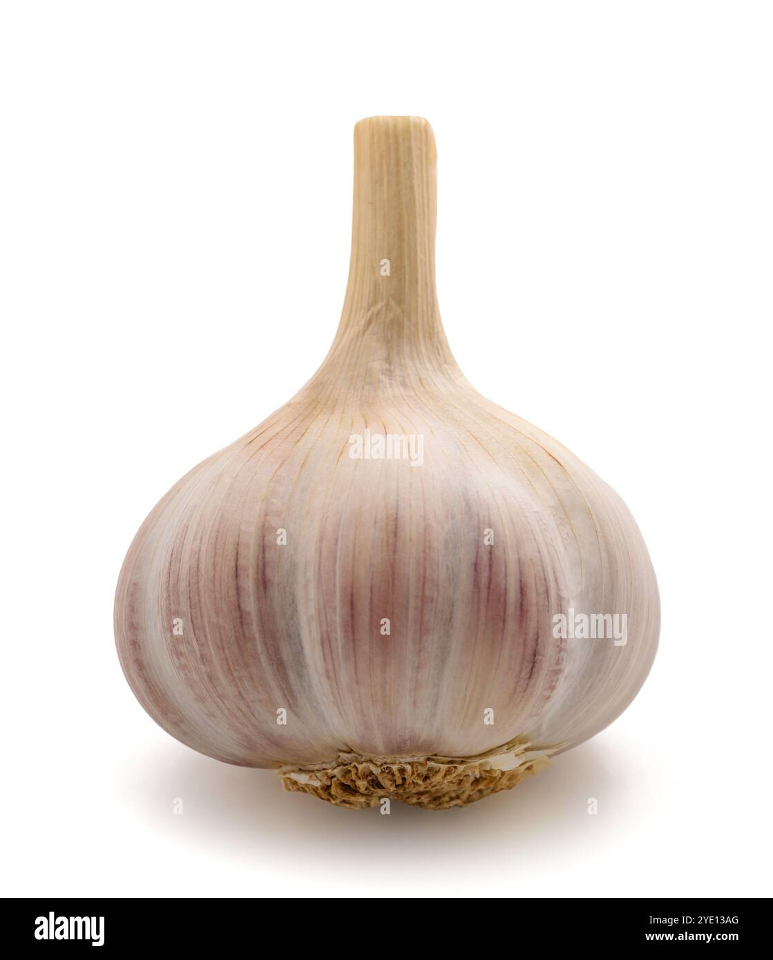 Fresh garlic cloves bulb Cut Out Stock Images & Pictures - Alamy