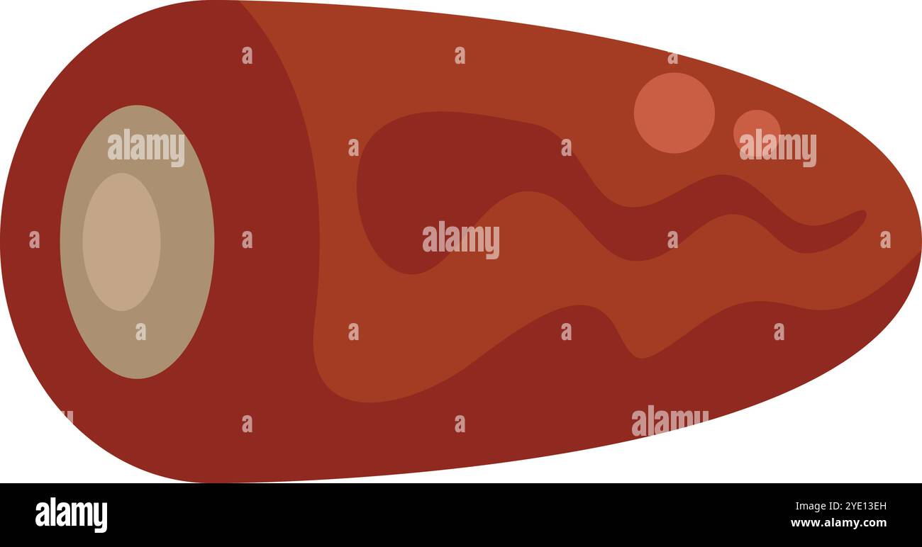 This vector illustration shows a date fruit with a visible seed ...