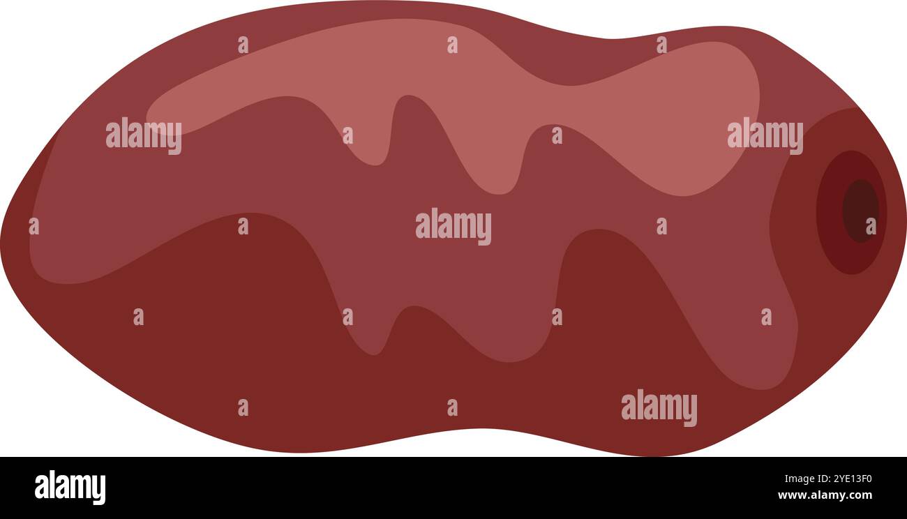 This vector illustration shows a single date fruit with its seed ...