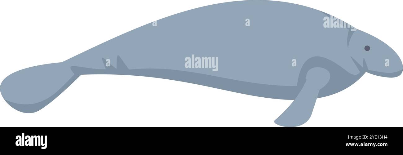 Florida manatee swimming Stock Vector Images - Alamy