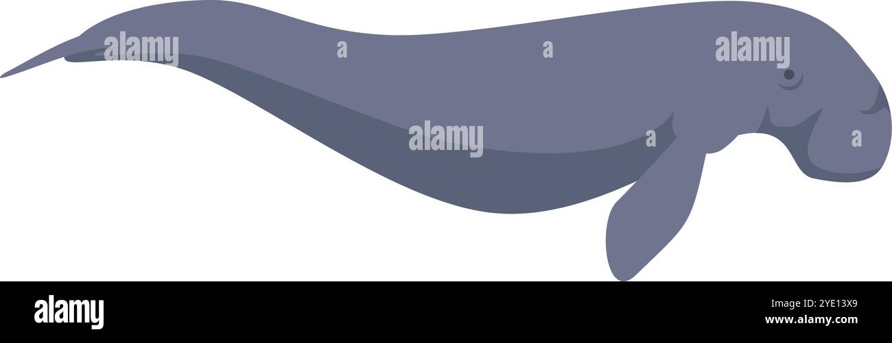 Large dugong swimming underwater with tail flippers Stock Vector Image ...