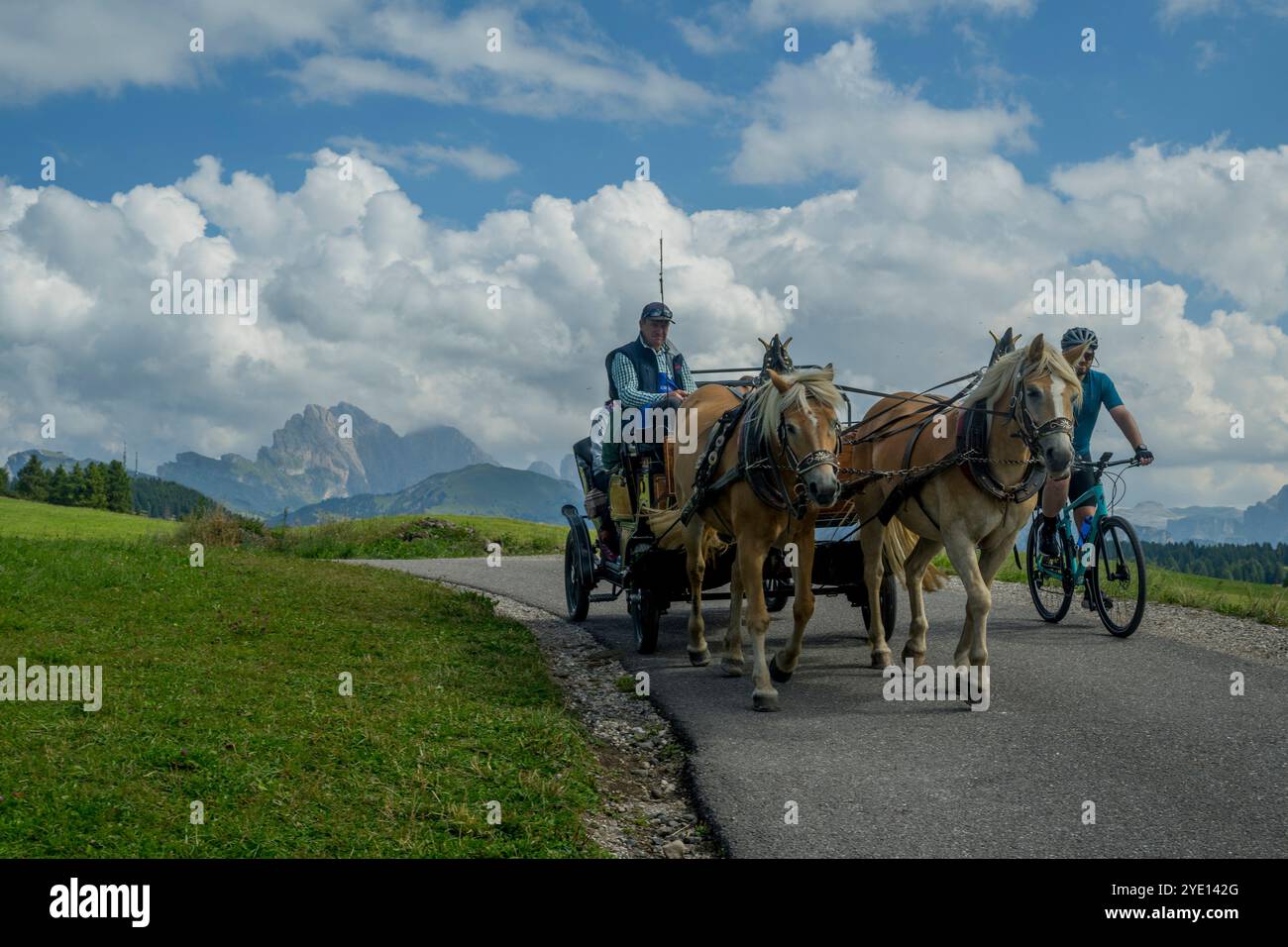People in a horse carriage on the Seiser Alm (Alpe di Siusi), the ...