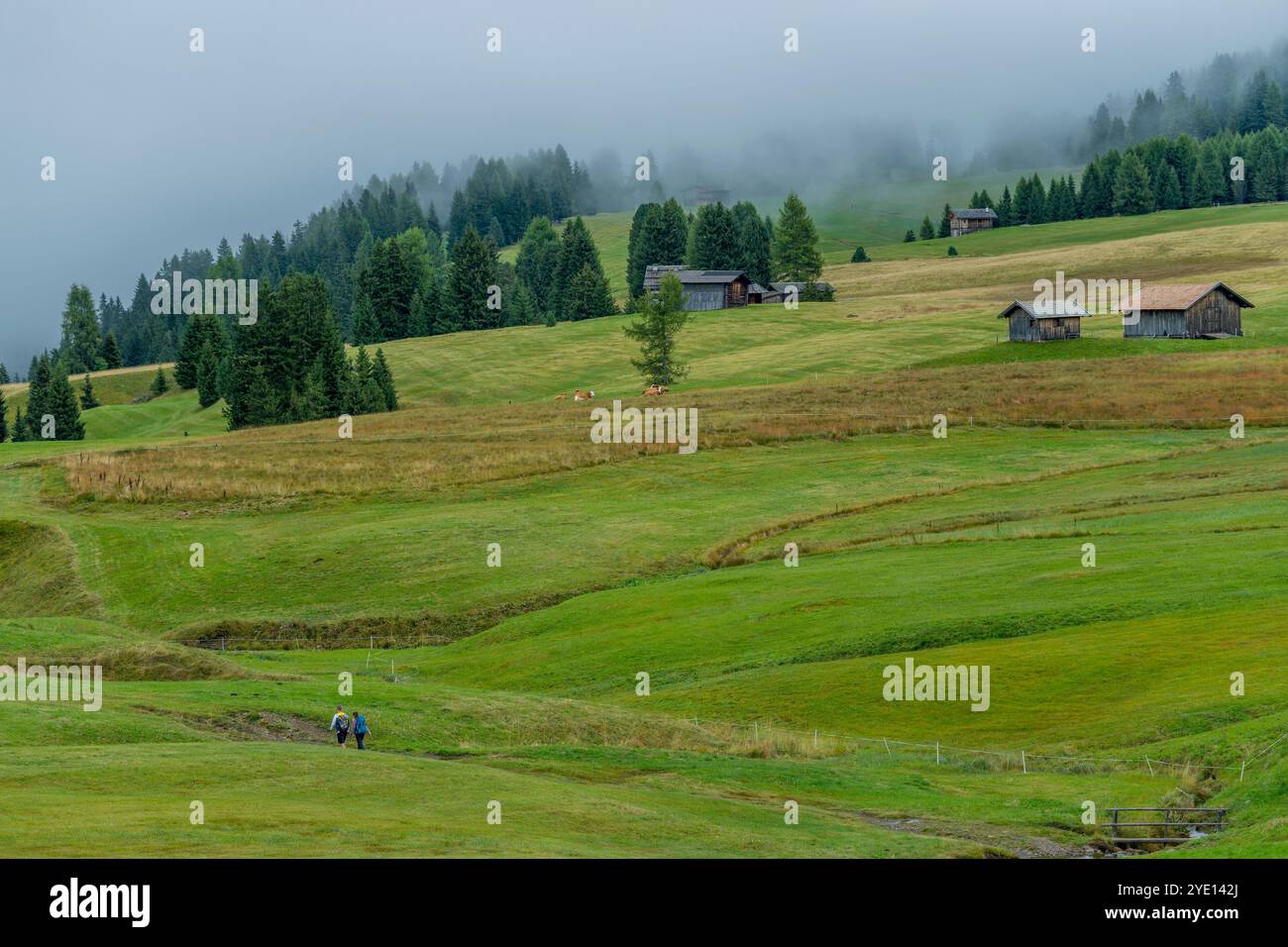 People hiking a trail on the Seiser Alm (Alpe di Siusi), the largest ...