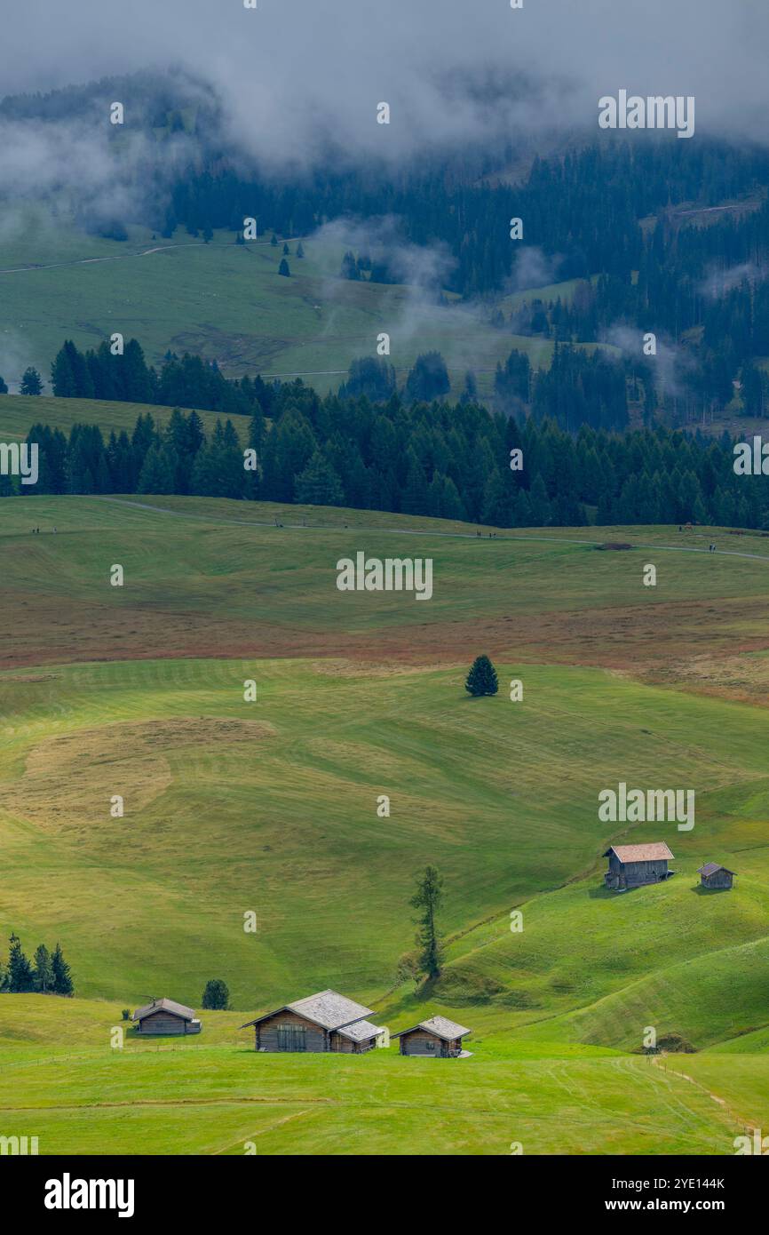 View of the Seiser Alm (Alpe di Siusi) with huts, the largest high ...