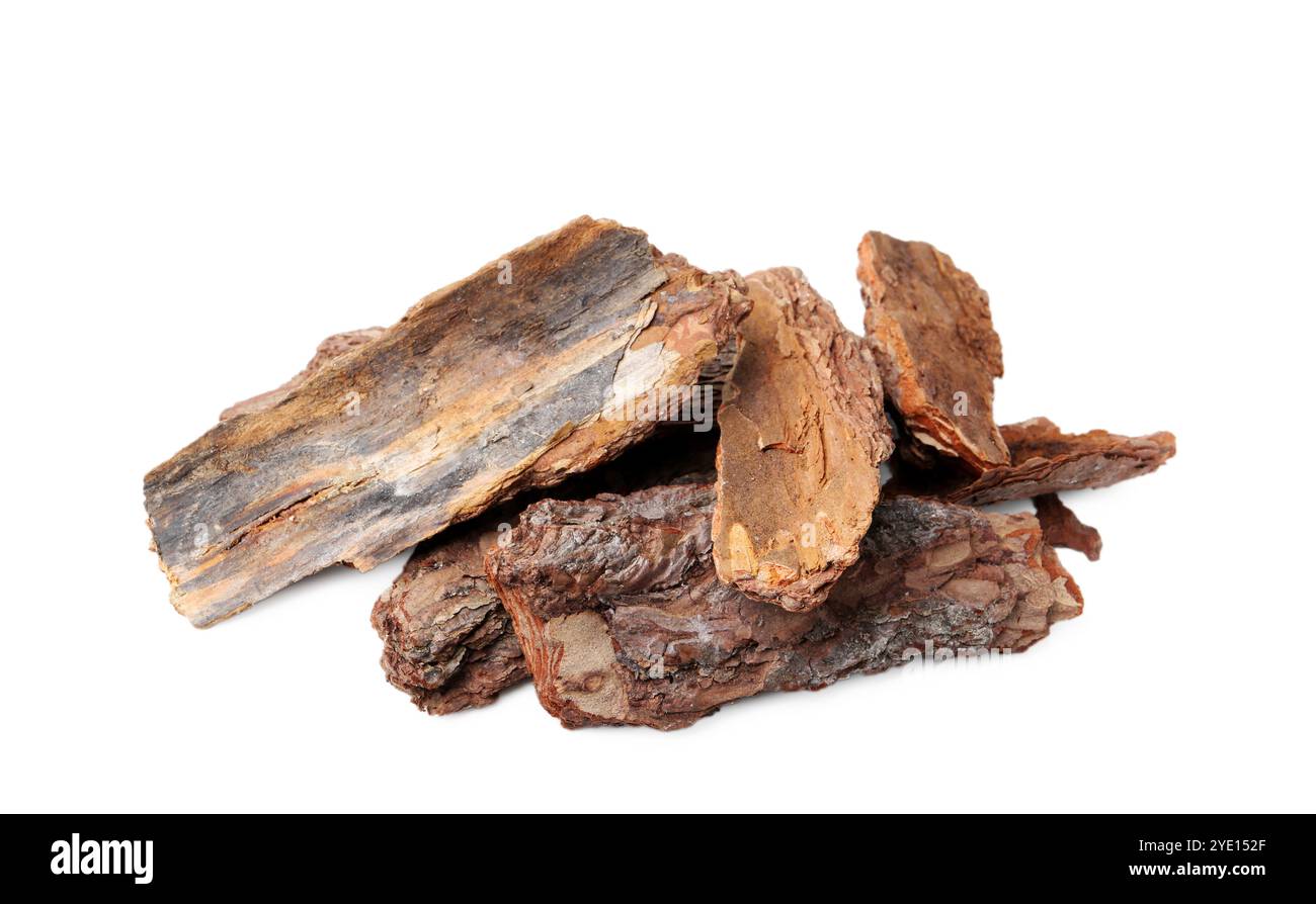 Pieces of tree bark on white background Stock Photo - Alamy