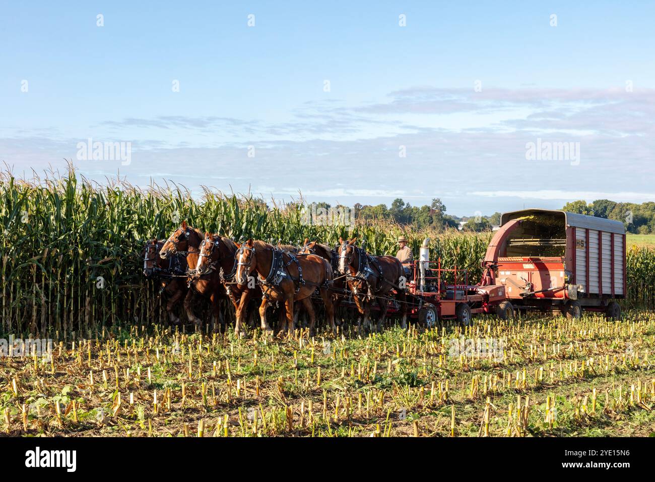 Amish farmer hi-res stock photography and images - Alamy