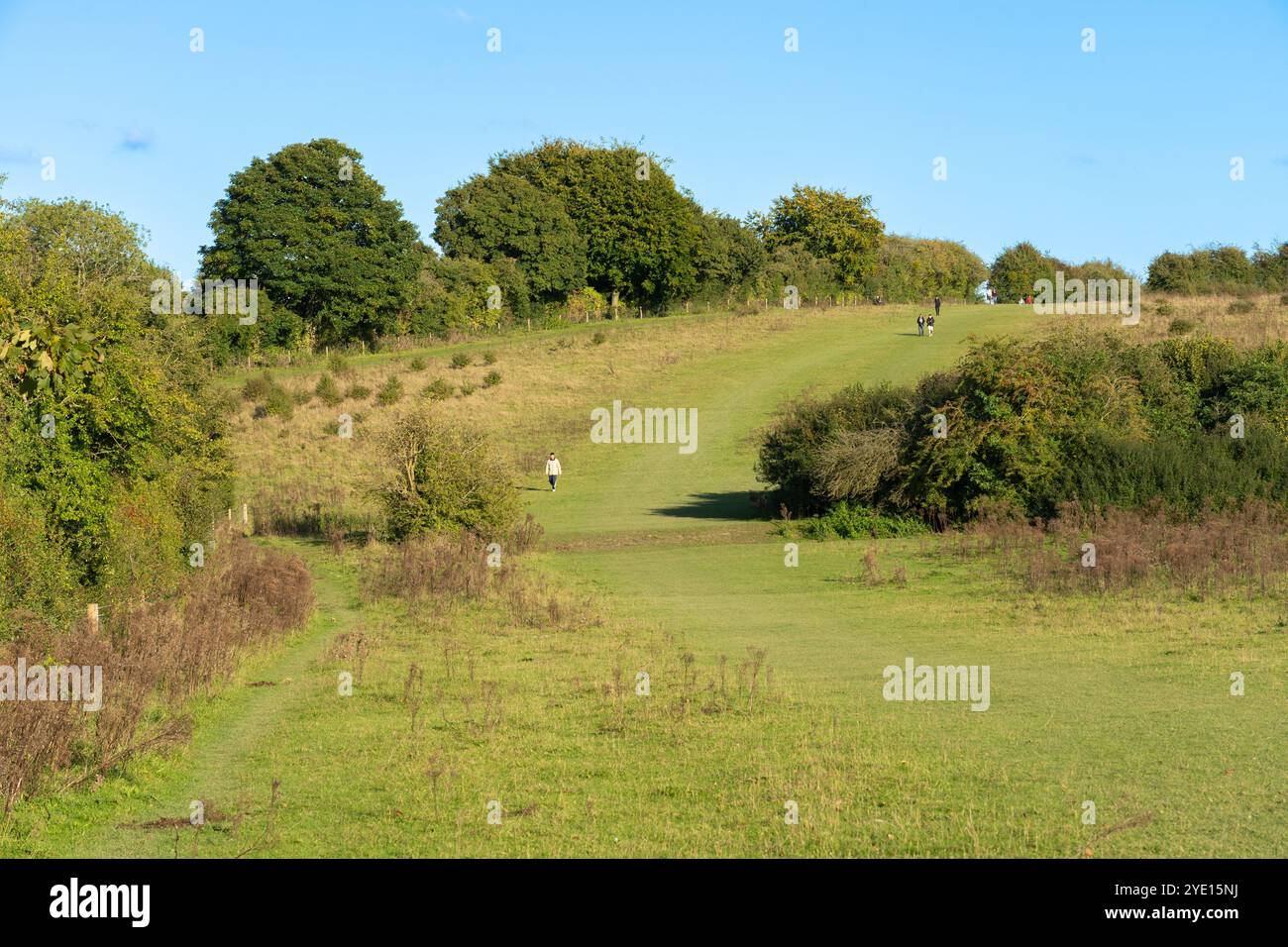 Old basing parish hi-res stock photography and images - Alamy
