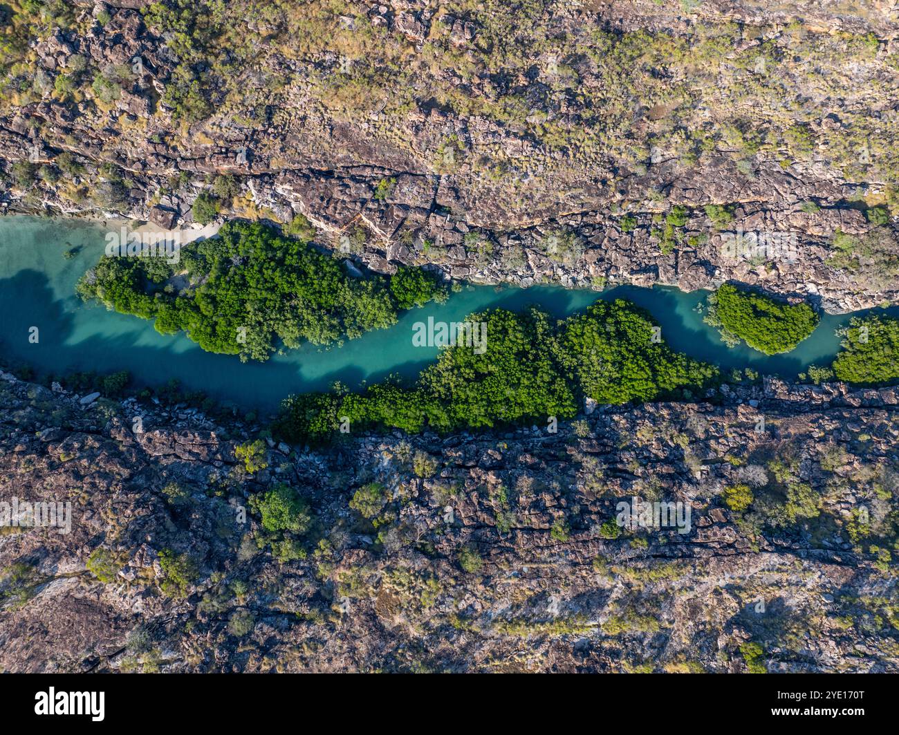 Aerial of Mangroves in small inlet in The Kimberley Stock Photo - Alamy