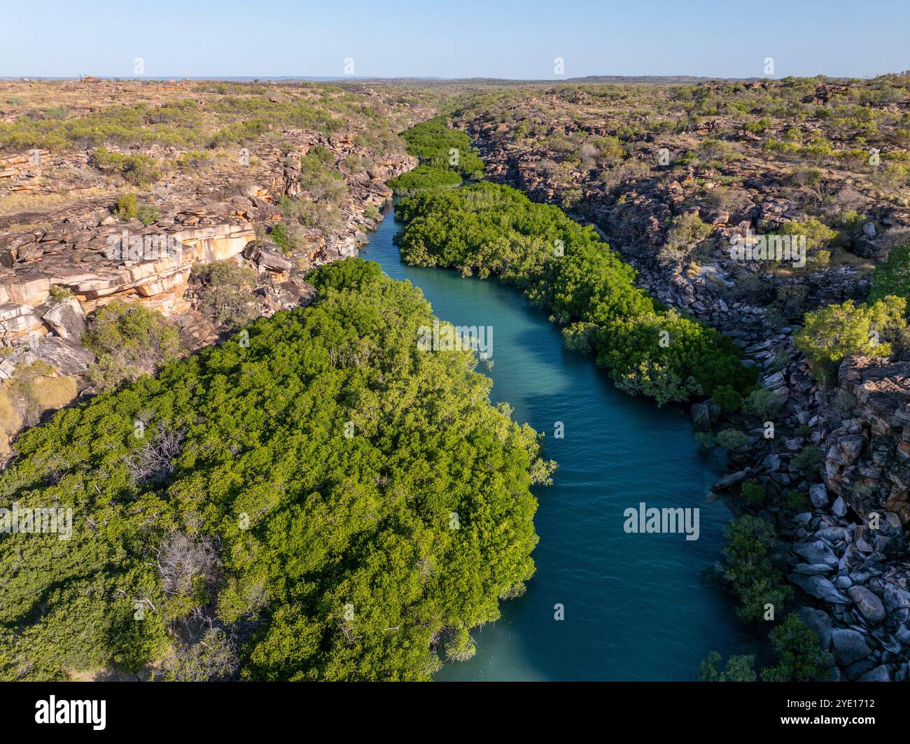 Aerial of Mangroves in small inlet in The Kimberley Stock Photo - Alamy