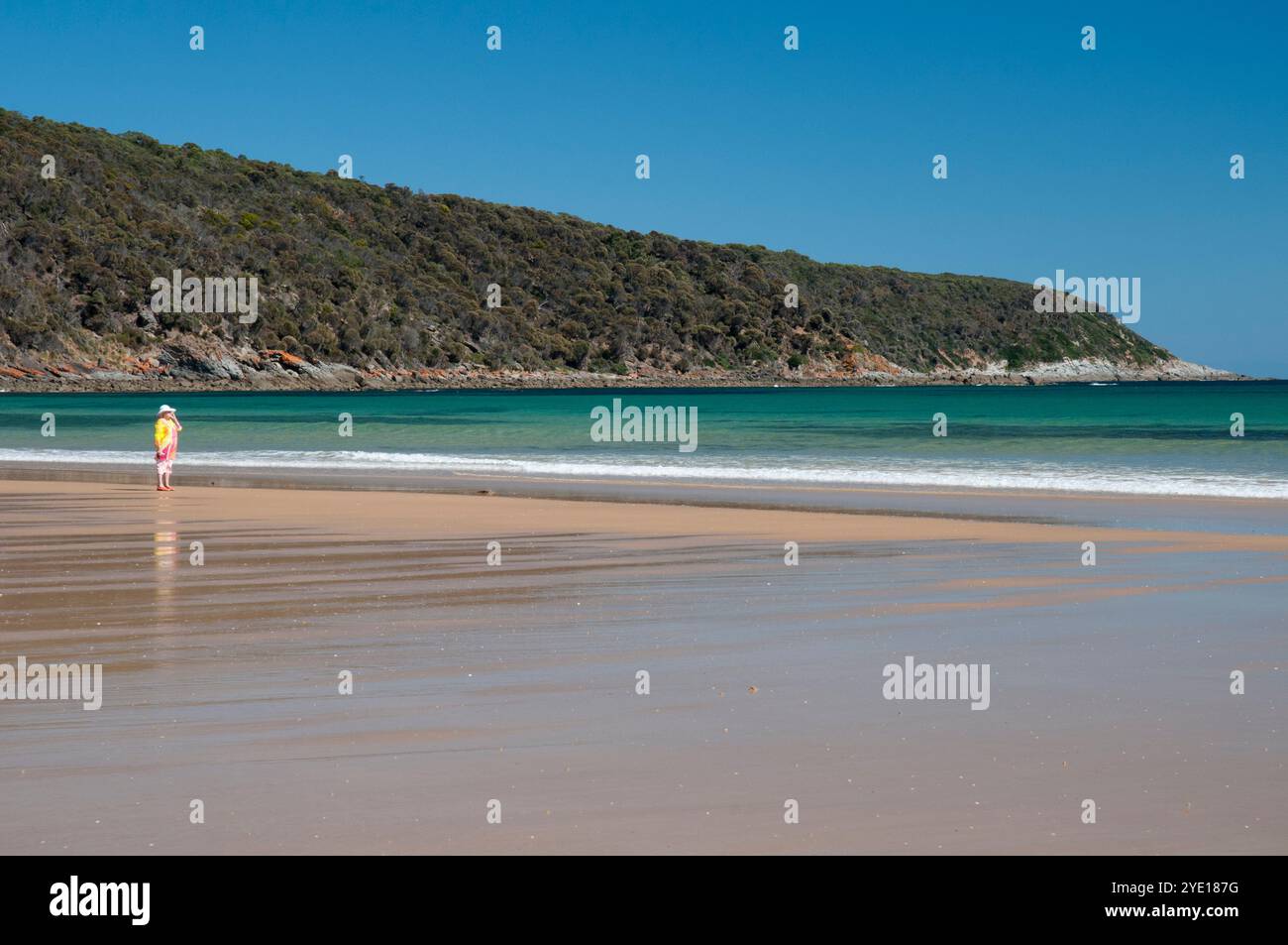 Beach at Badger Head, Narawntapu National Park, on the northern coast ...