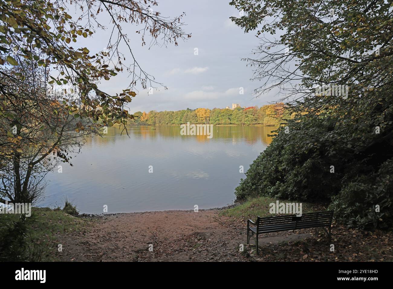 Nottinghams natural history museum hi-res stock photography and images ...