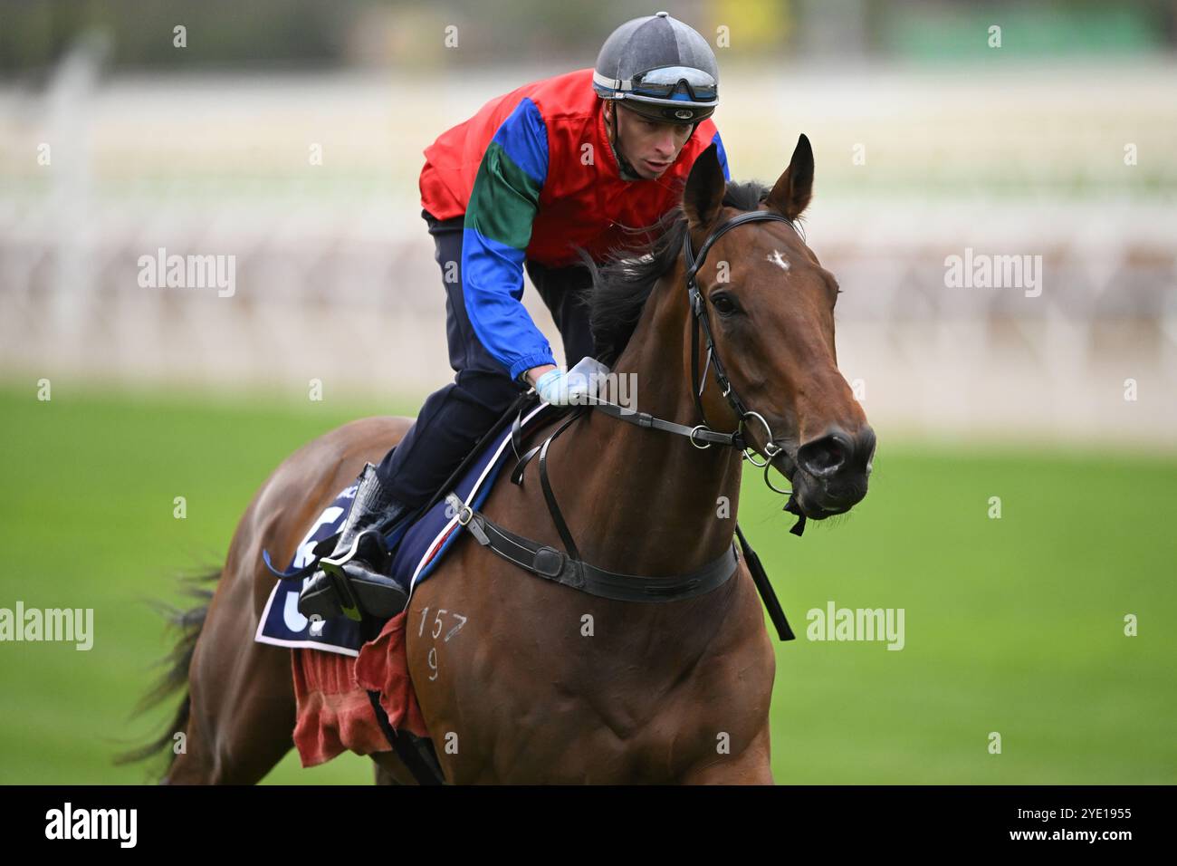 Melbourne, Australia. 29th Oct, 2024. Jockey Michael Dee riding Sharp 'N' Smart during trackwork ...