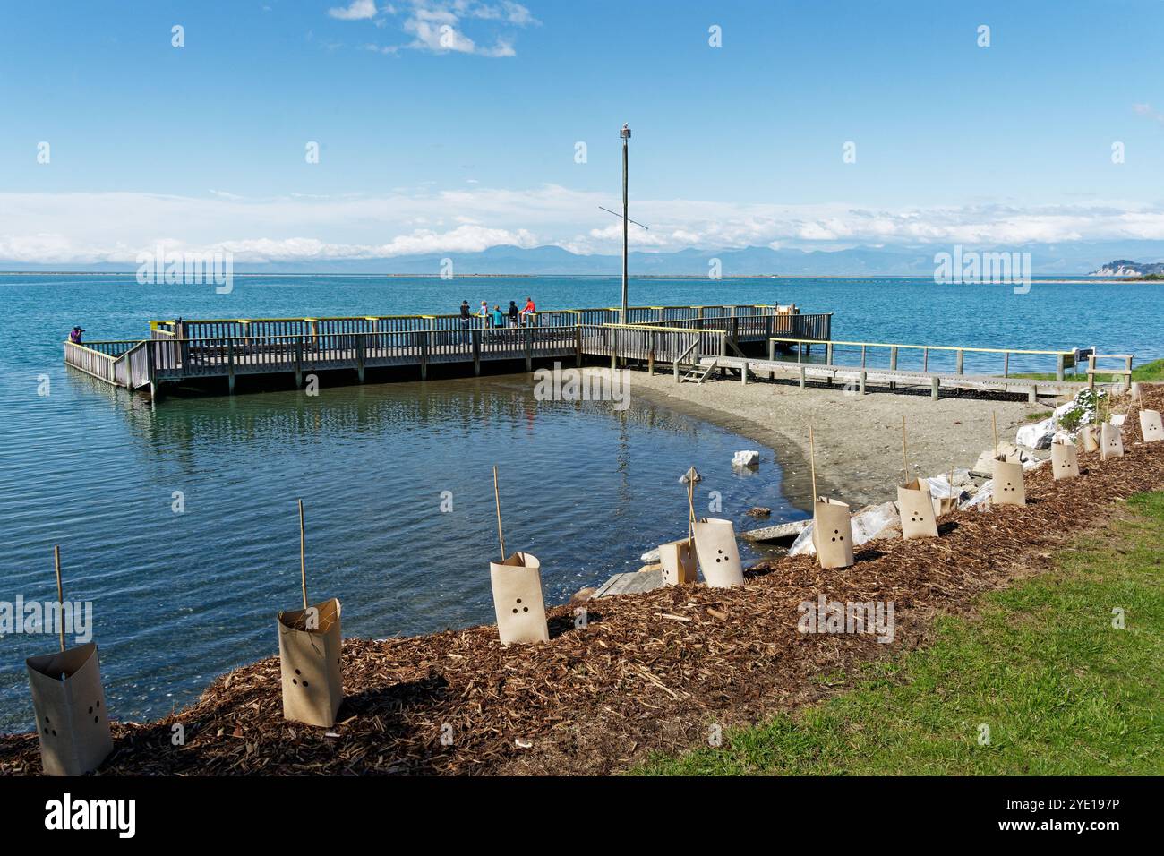 Bark mulch on new tree planting on a walkway at Motueka seafront, the ...