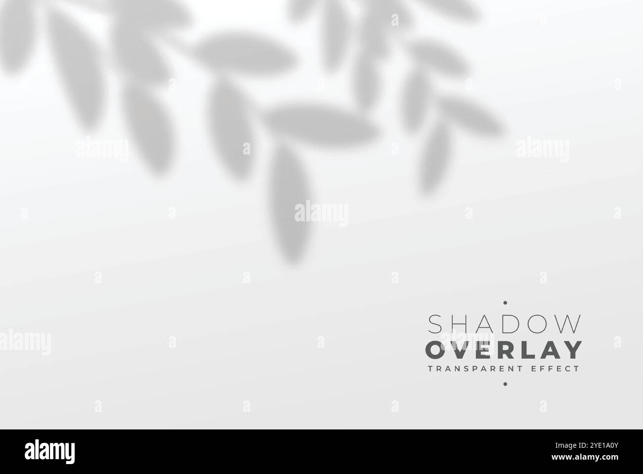 Light shadow leaves on Stock Vector Images - Alamy