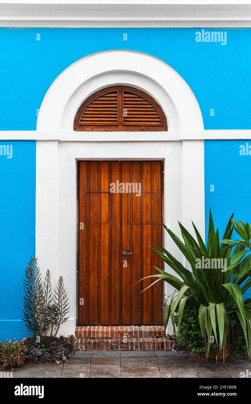 Old San Juan Charming Wooden Door with Blue Wall and Green Plants ...