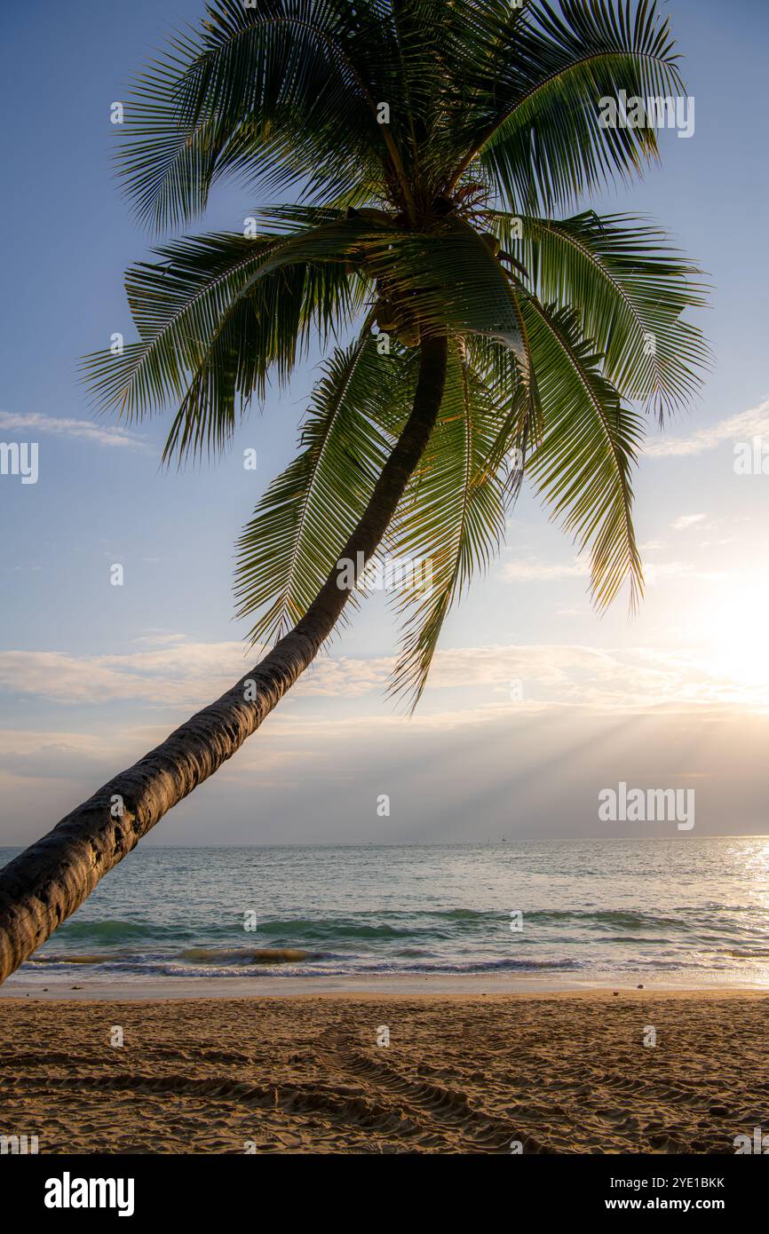 Aerial panorama sanya island during hi-res stock photography and images ...