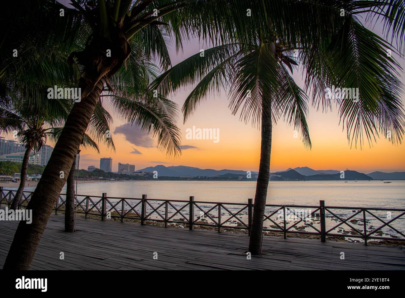 Palm trees on promenade of Dadonghai beach, Sanya, China during the ...
