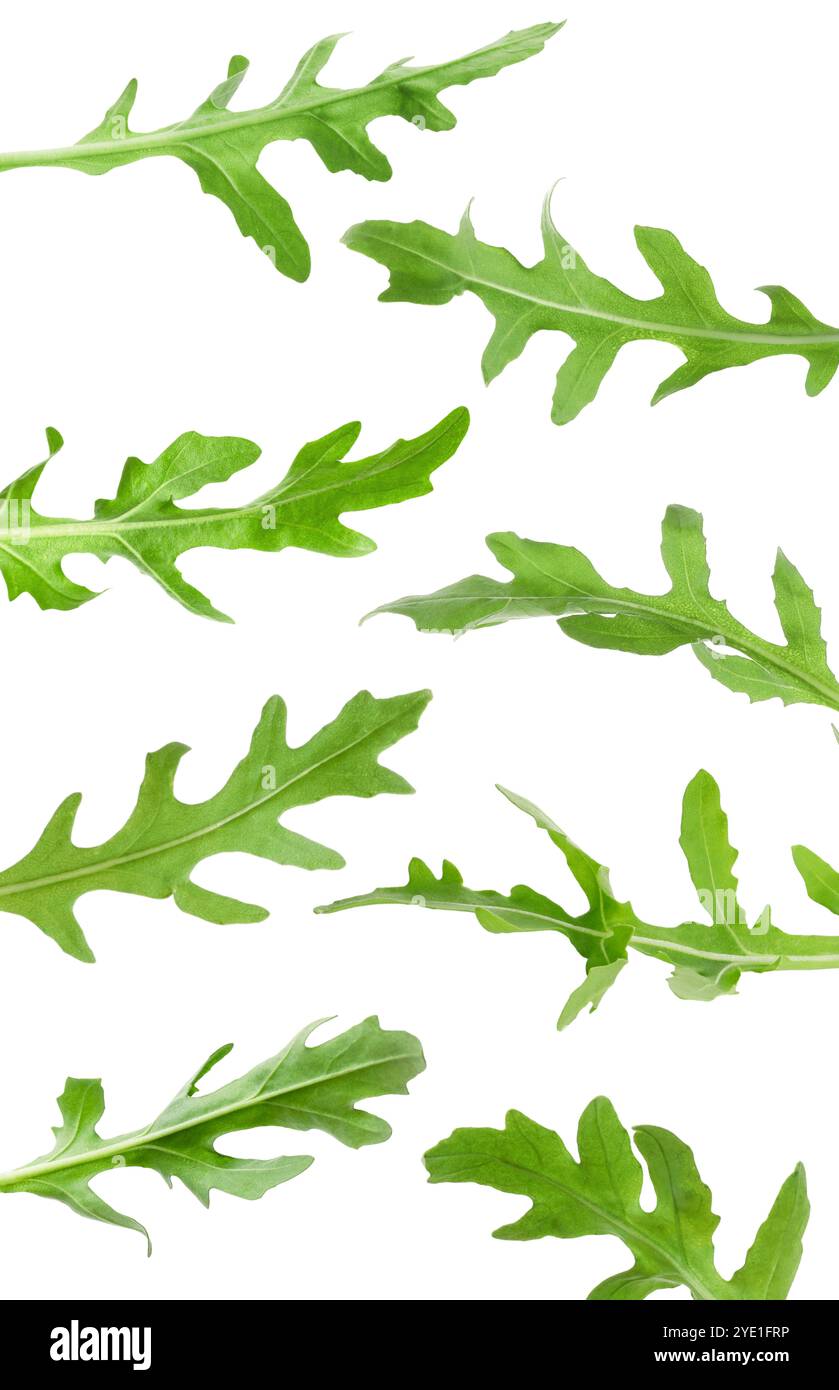 Fresh green arugula in air on white background Stock Photo - Alamy
