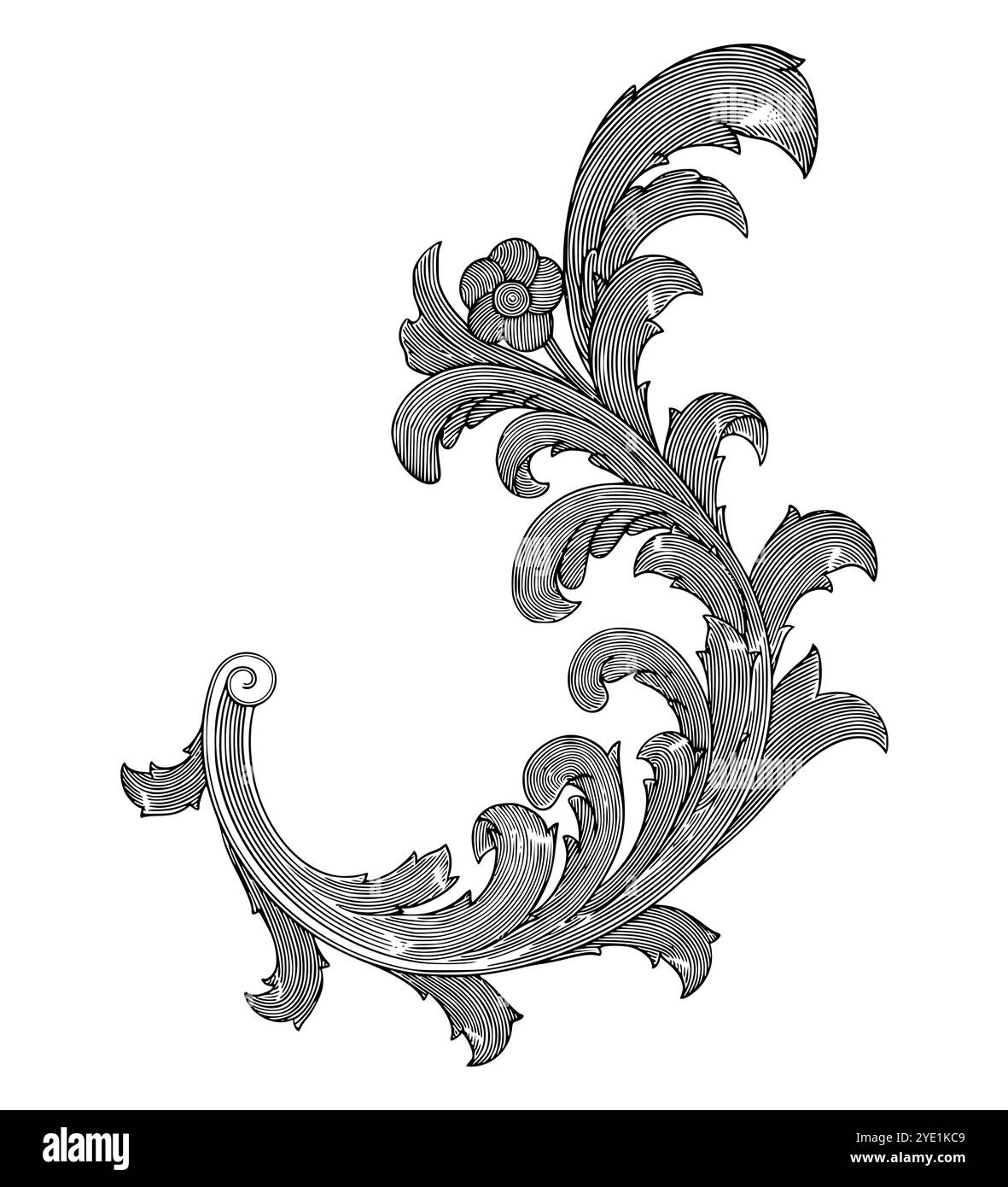 vintage ornament floral frame, antique engraving drawing illustration ...