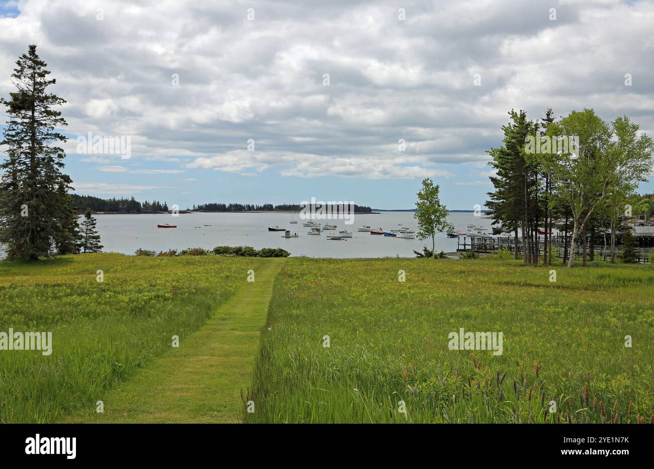Trail to Mackerel Cove, Maine Stock Photo - Alamy
