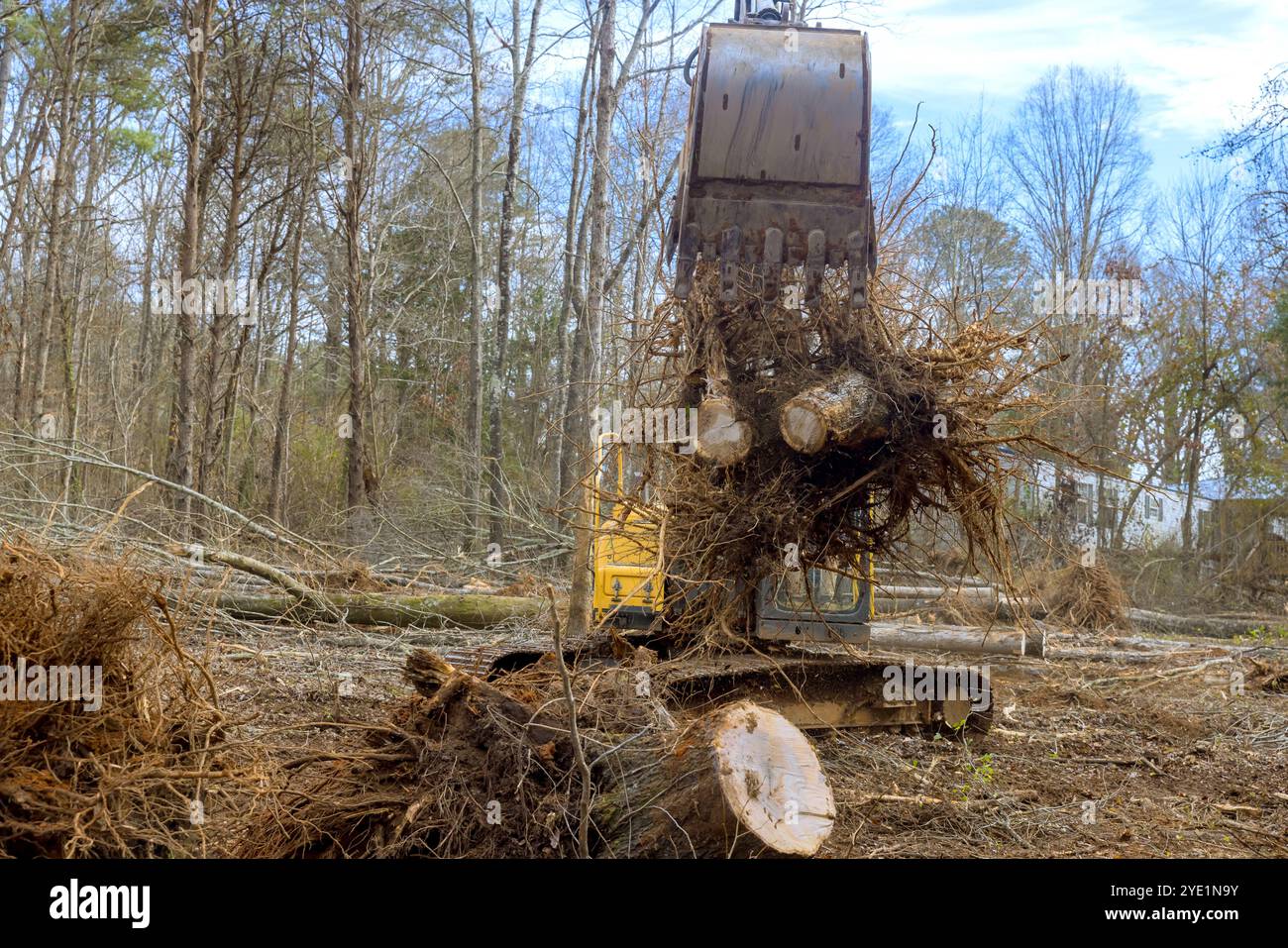 Uprooting of trees during preparation land for construction house Stock ...
