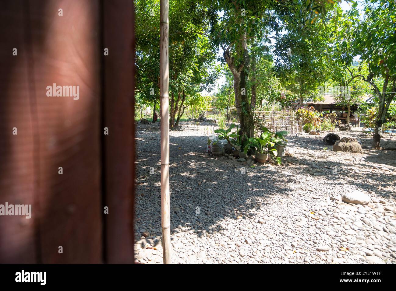 Shady tree hi-res stock photography and images - Alamy