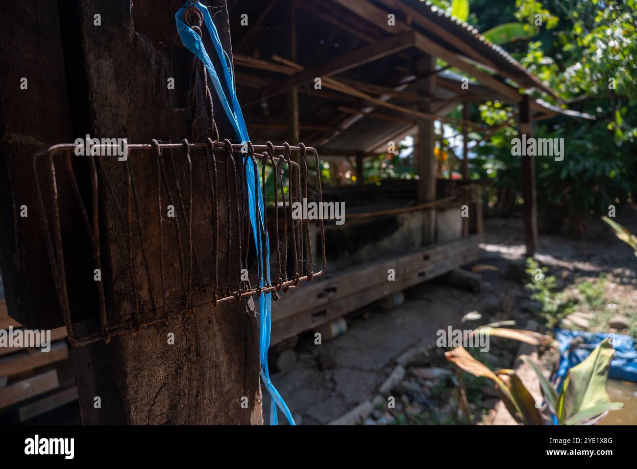 Fish or chicken grill nets hanging on wooden poles. Hanging together ...