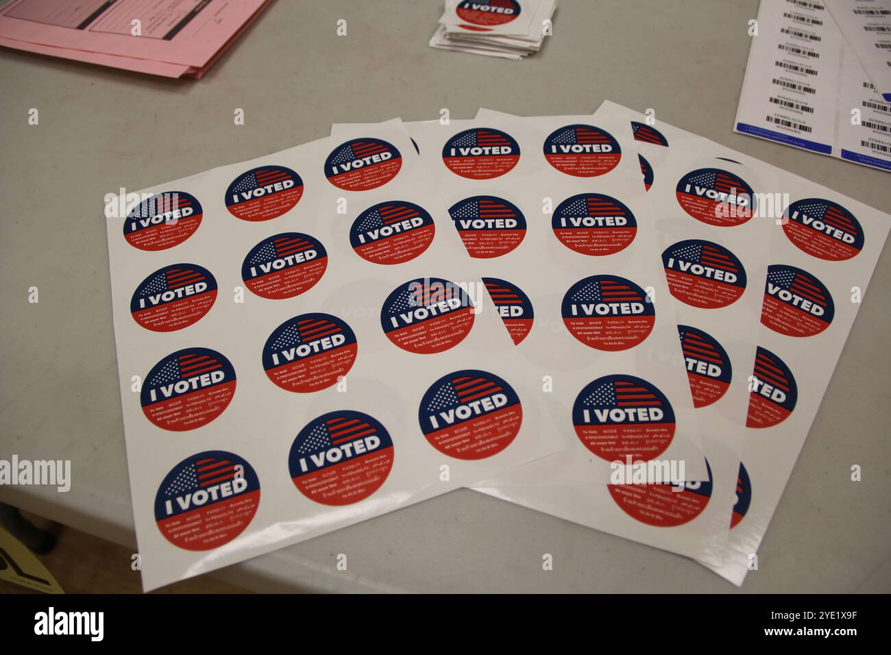 I voted 2024 hi-res stock photography and images - Alamy