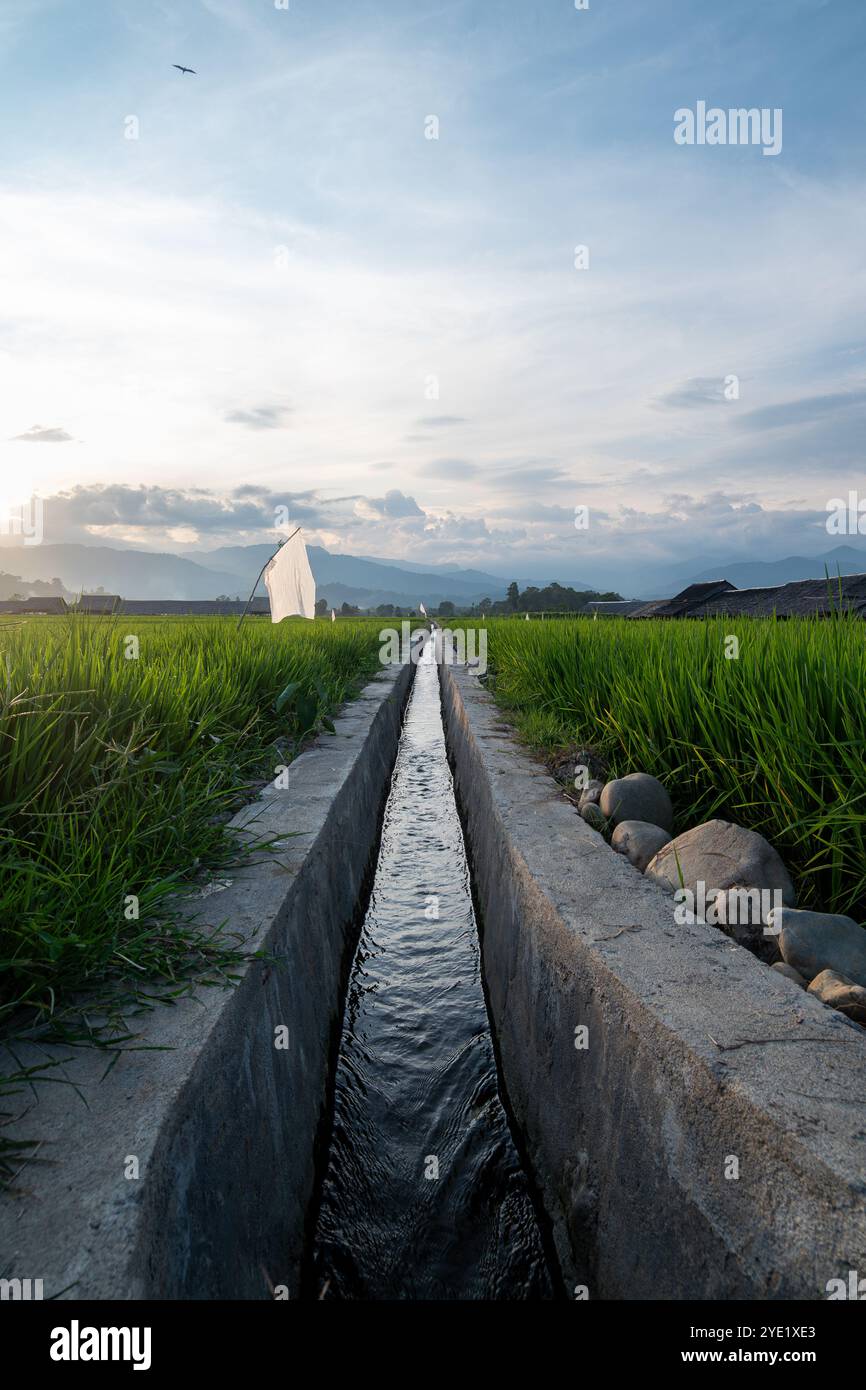 a ditch made of concrete in the rice fields. It functions to channel ...