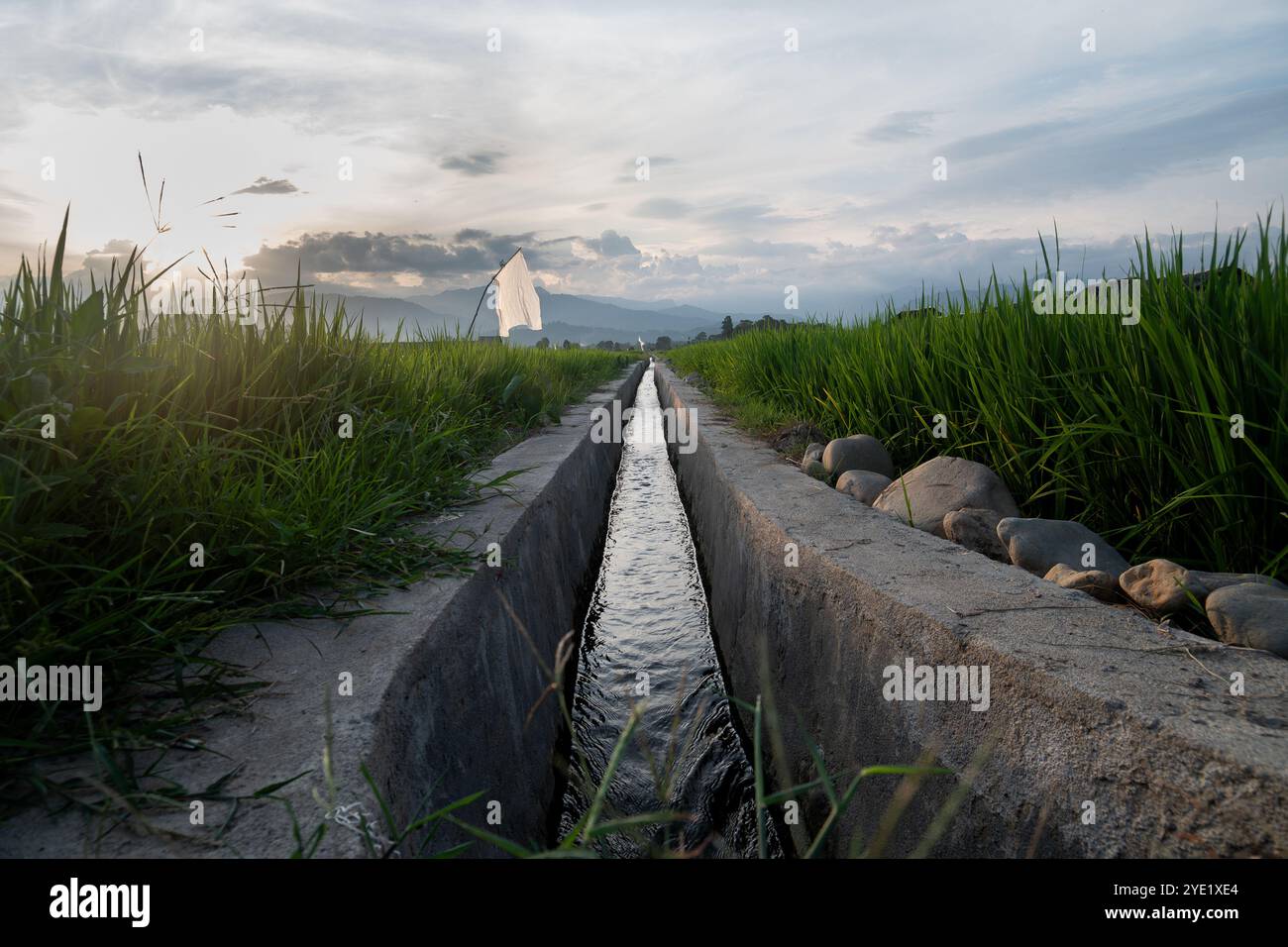 a ditch made of concrete in the rice fields. It functions to channel ...