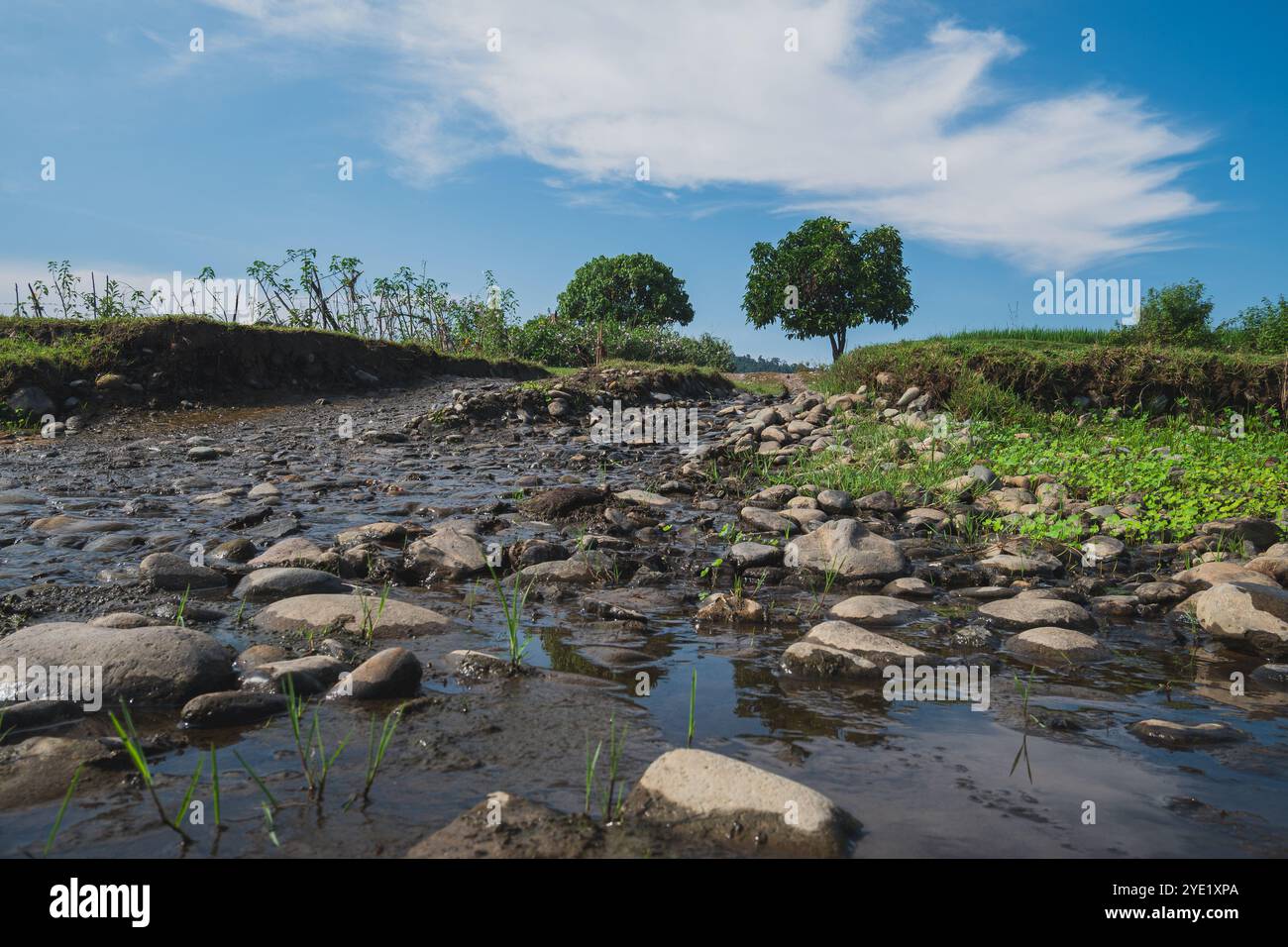 Irregularly shaped river stones. Usually used to build houses for local ...