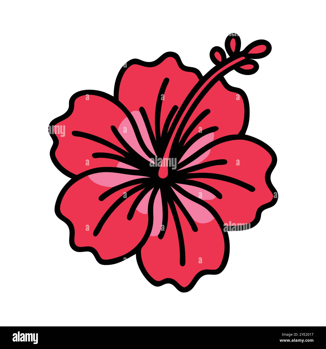 Red hibiscus flower vector illustration with stamen Stock Vector Image ...