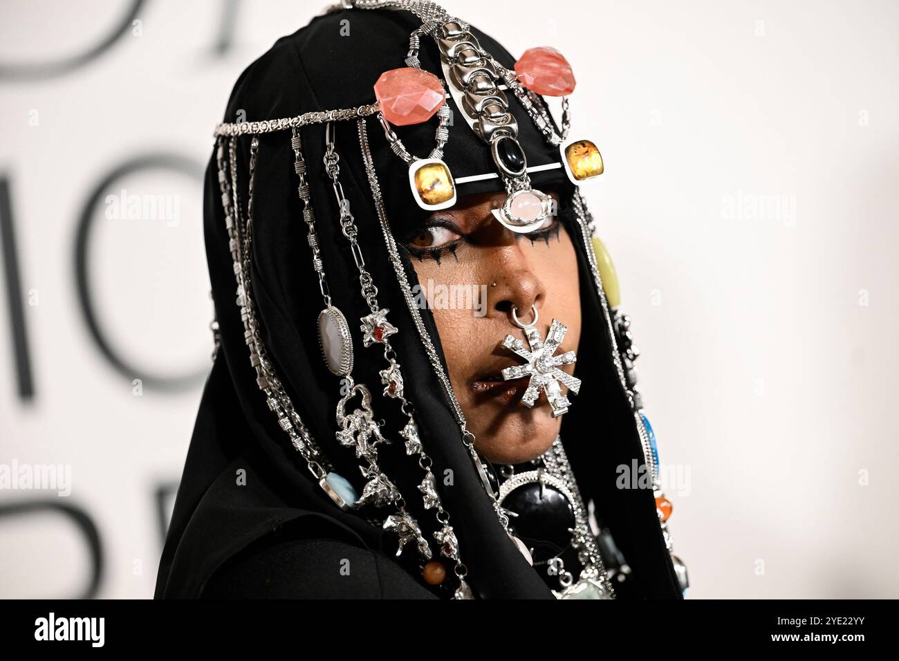 Erykah Badu attends the CFDA Fashion Awards at the American Museum of ...