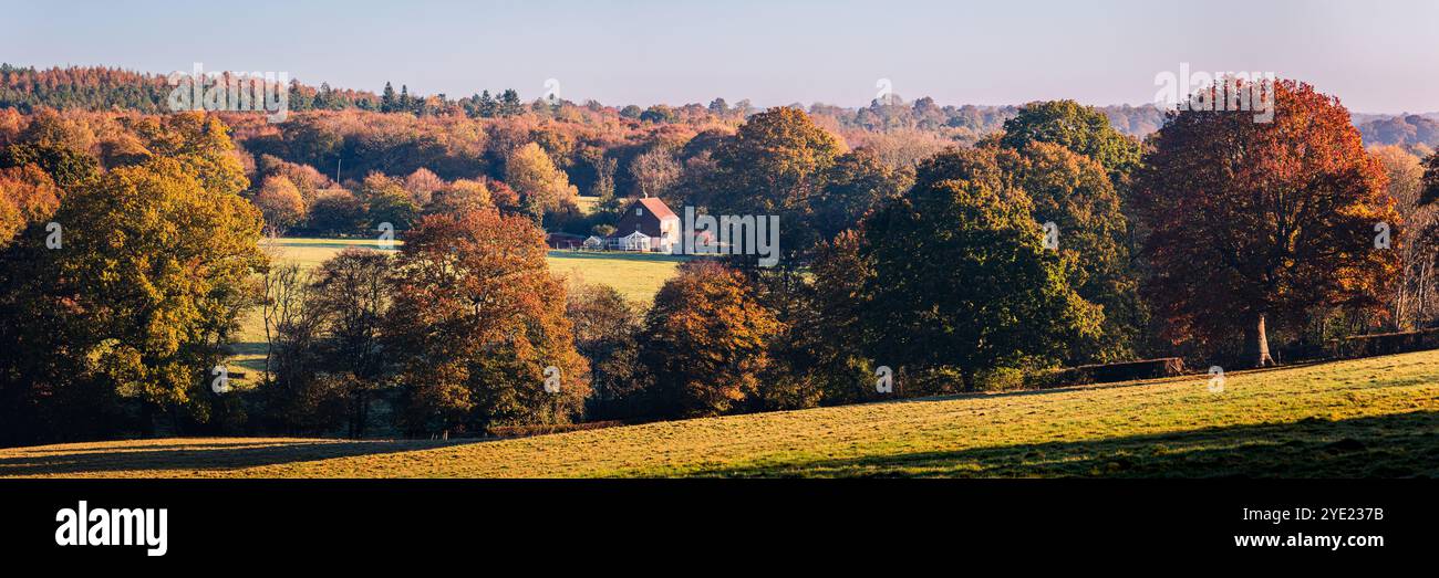 Autumn woodland around Darwell Reservoir on the high weald East Sussex ...