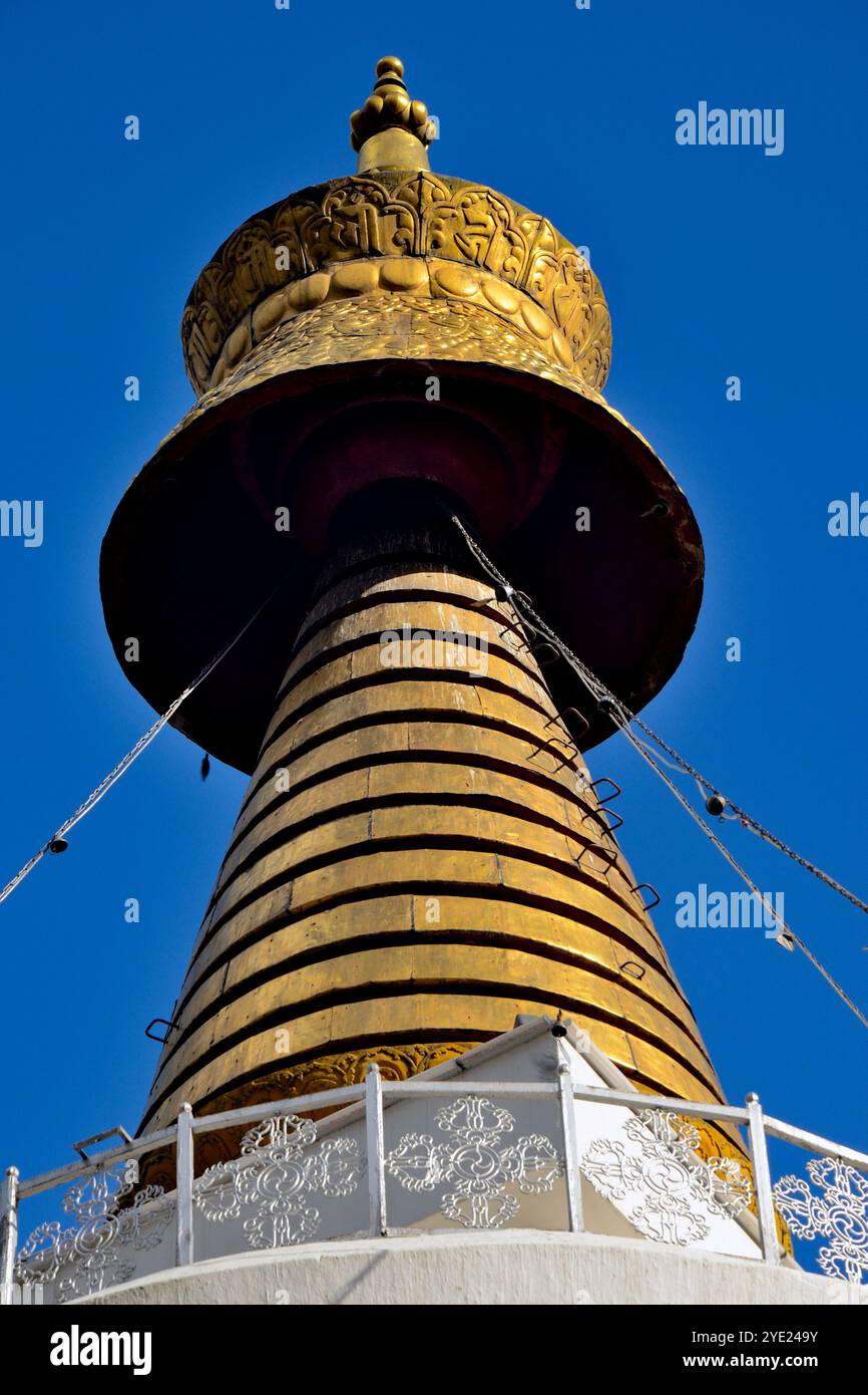 Partial view of the National Memorial Chorten, built in 1974 to honour ...