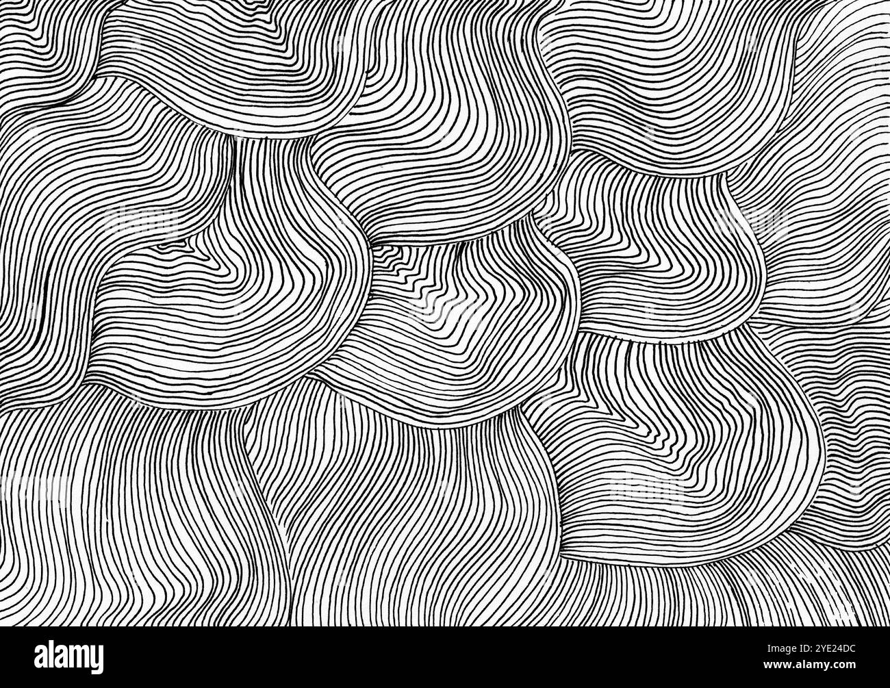 Abstract texture background. Thin black lines on white. Lines are ...
