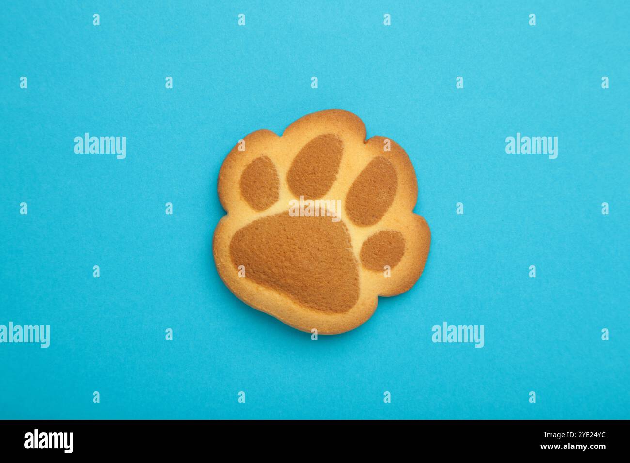 Self made cat paw cookies on blue background. Top view Stock Photo - Alamy